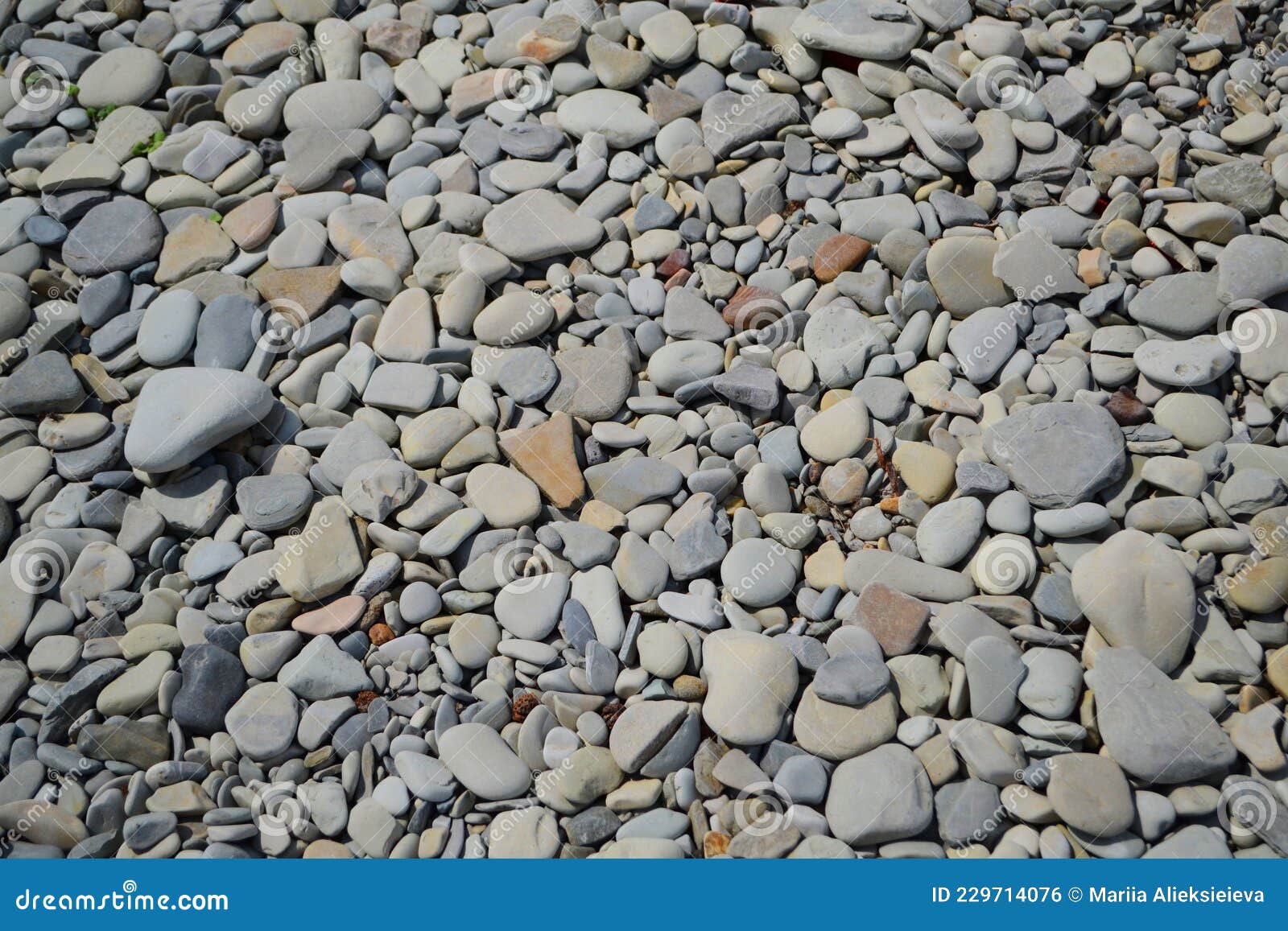 Stones on the Seashore, Stone Wild Beach, Stones and Pebbles on the ...