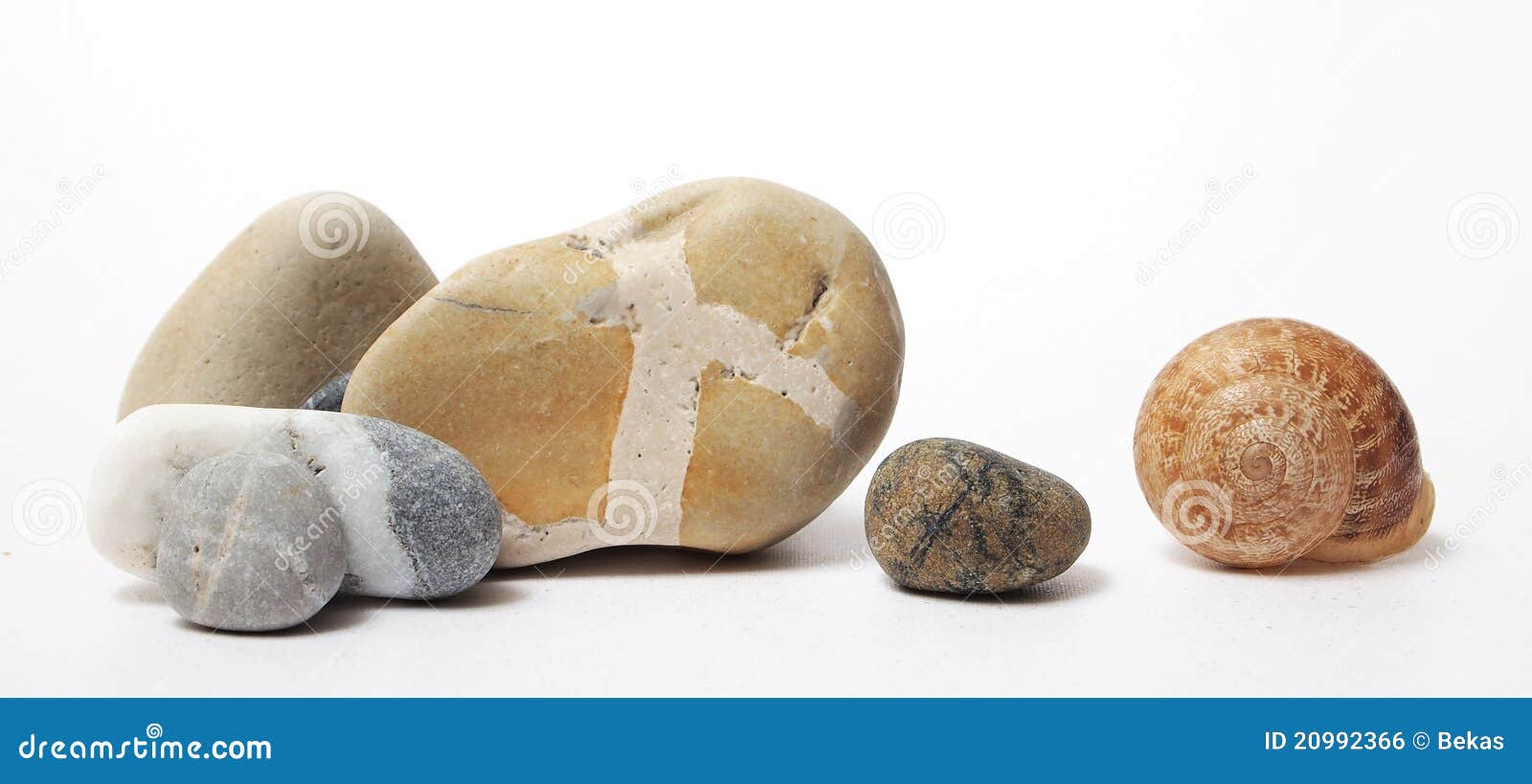 Stones and shell stock photo. Image of bright, green - 20992366