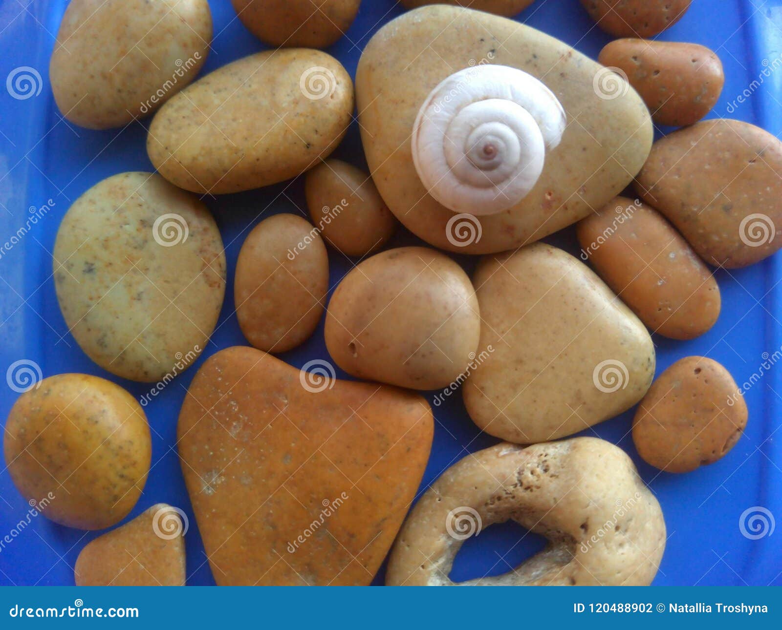 Beautiful Stones and Shell Blue Background Stock Photo - Image of stone ...