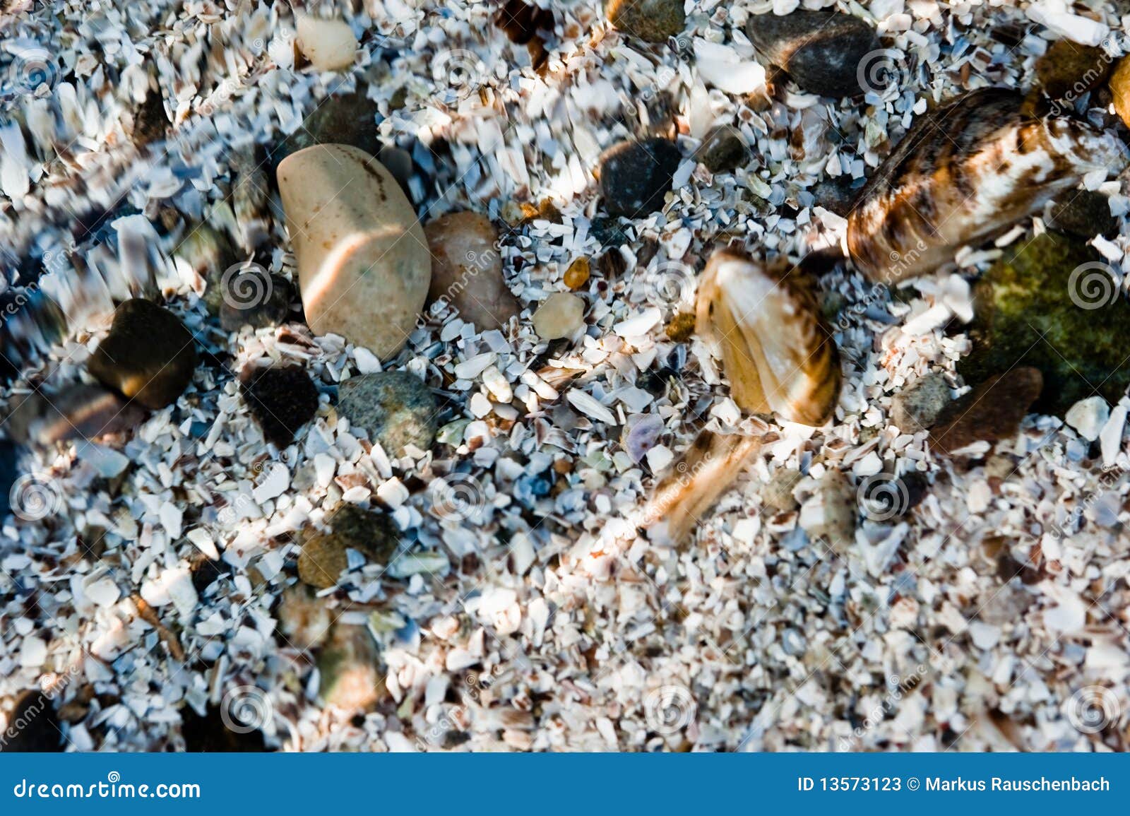 Stones and Shells stock image. Image of transparent, shell - 13573123