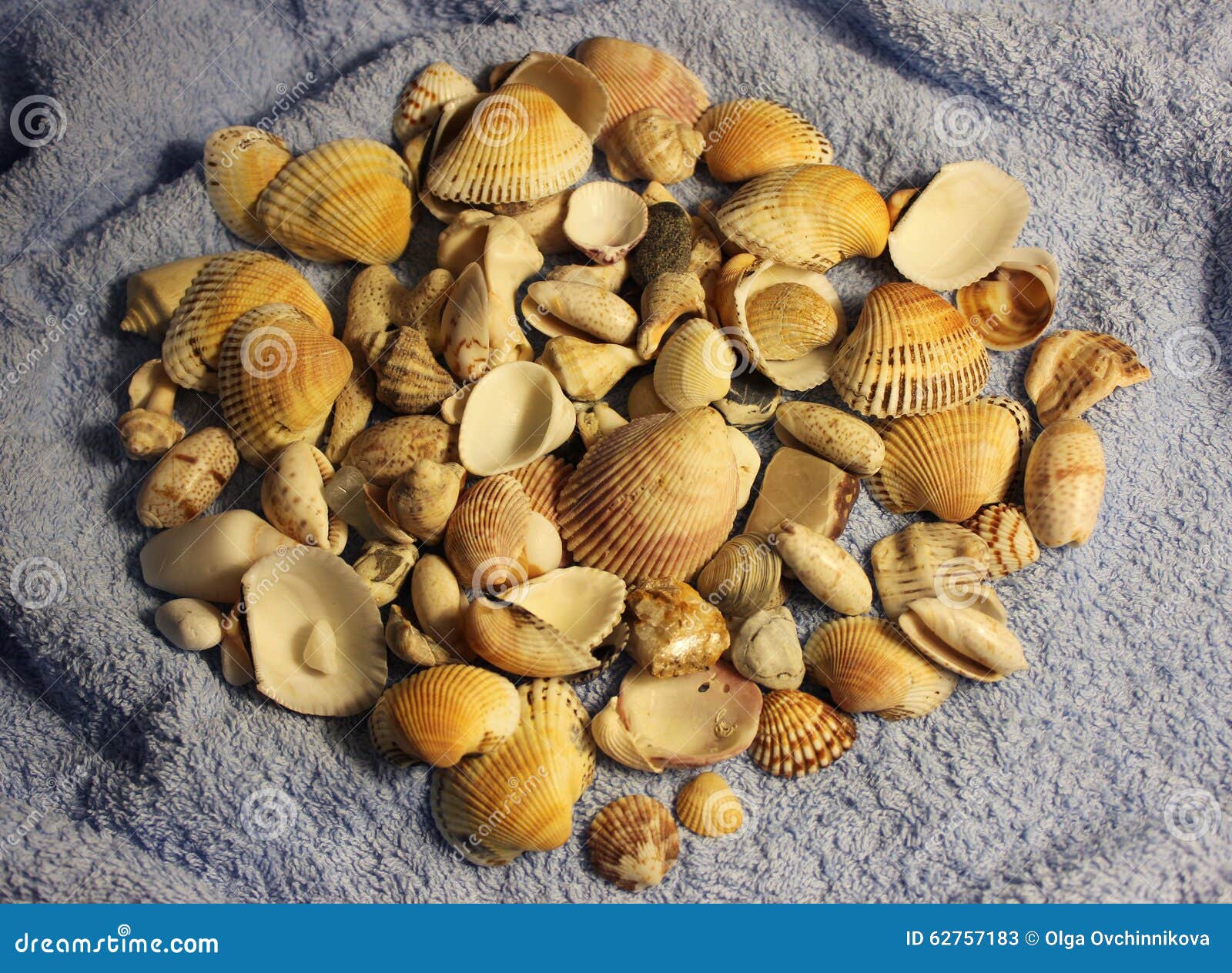 Stones and shells stock image. Image of colorful, beautiful - 62757183