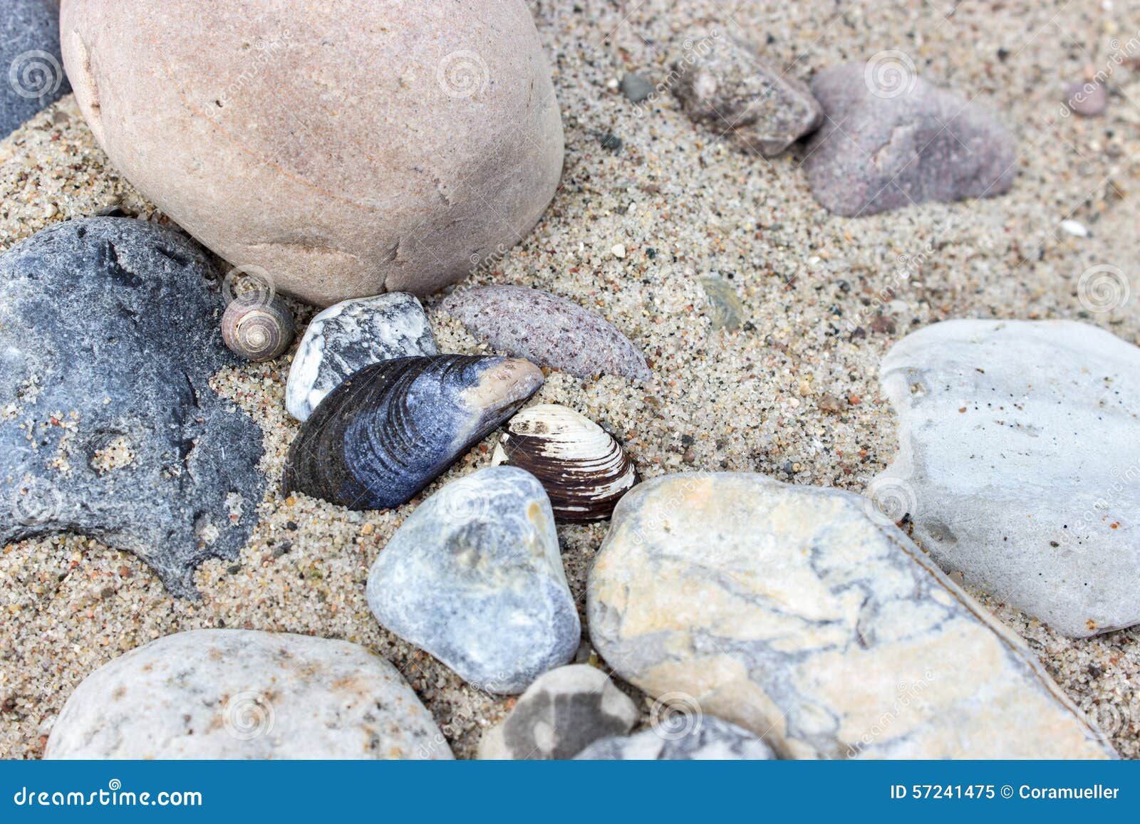 Stones and shells stock image. Image of blue, vacation - 57241475