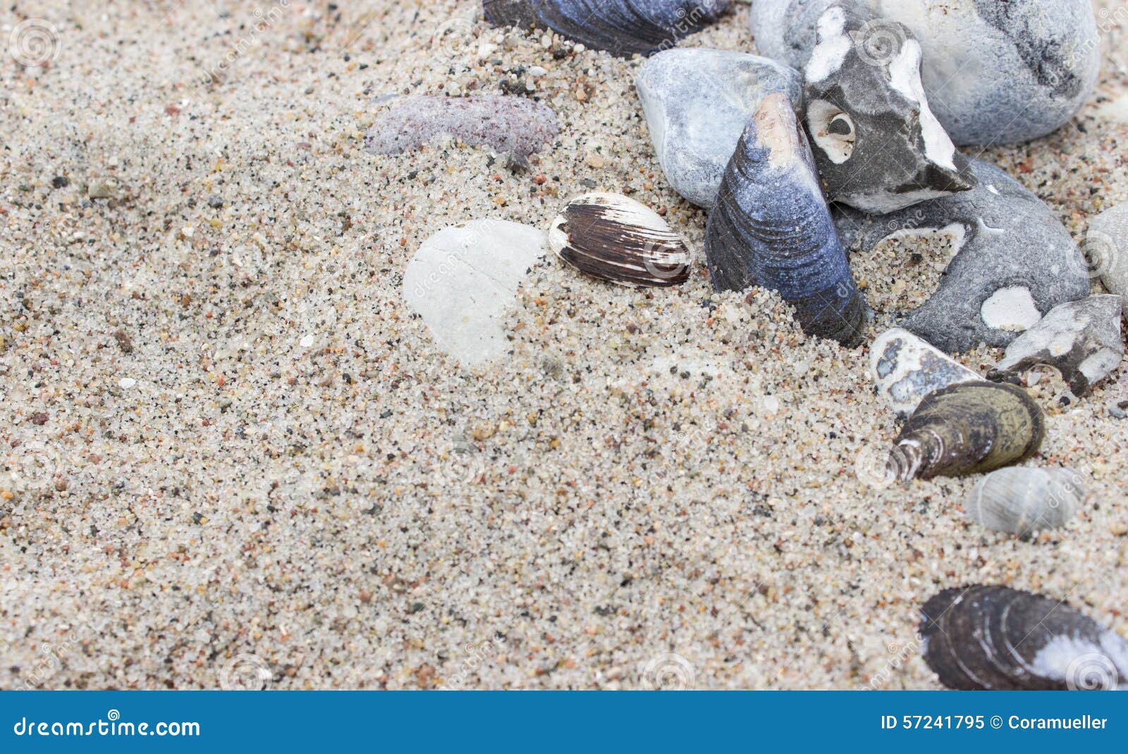 Stones and shells stock image. Image of travel, white - 57241795