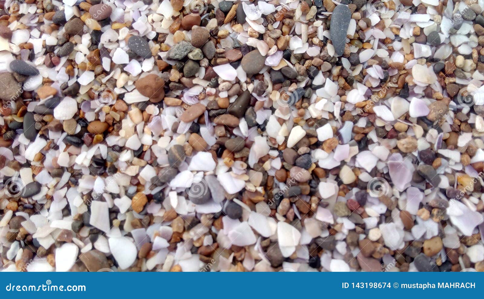 Stones and Shells on the Beach Sand for Background Wallpaper Stock ...