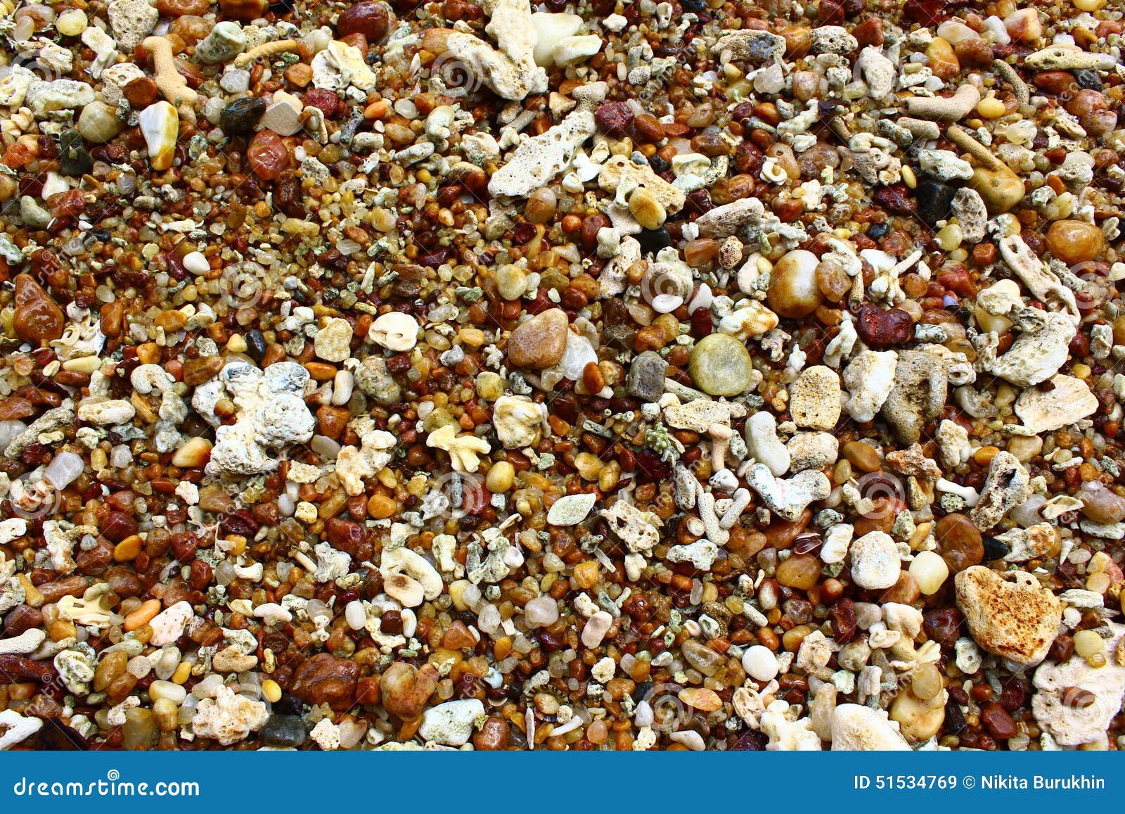 Stones, Shells, Corals on the Beach of Mirissa Stock Image - Image of ...