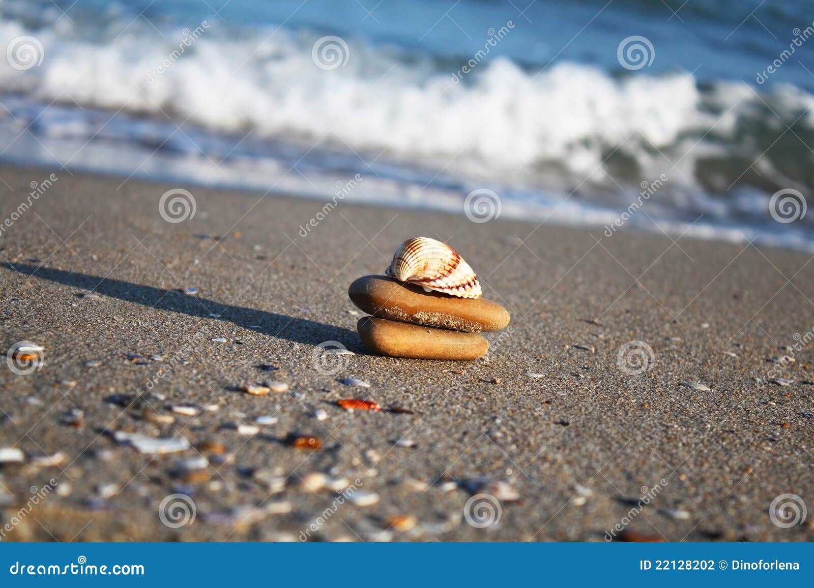 Stones and Shells on the Sand Stock Photo - Image of dawn, perspective ...