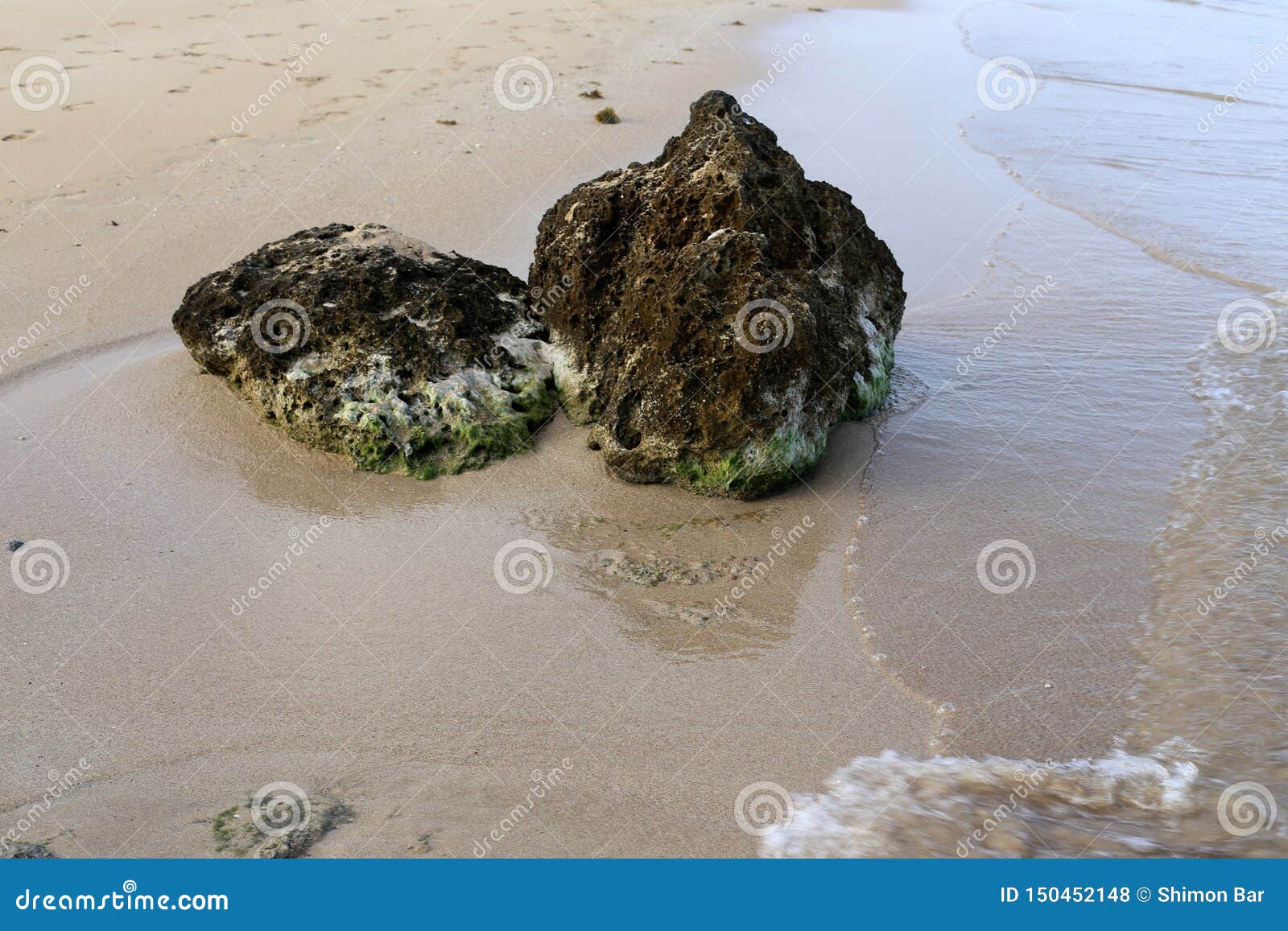 Stones and Shells on the Shores of the Mediterranean Stock Photo ...