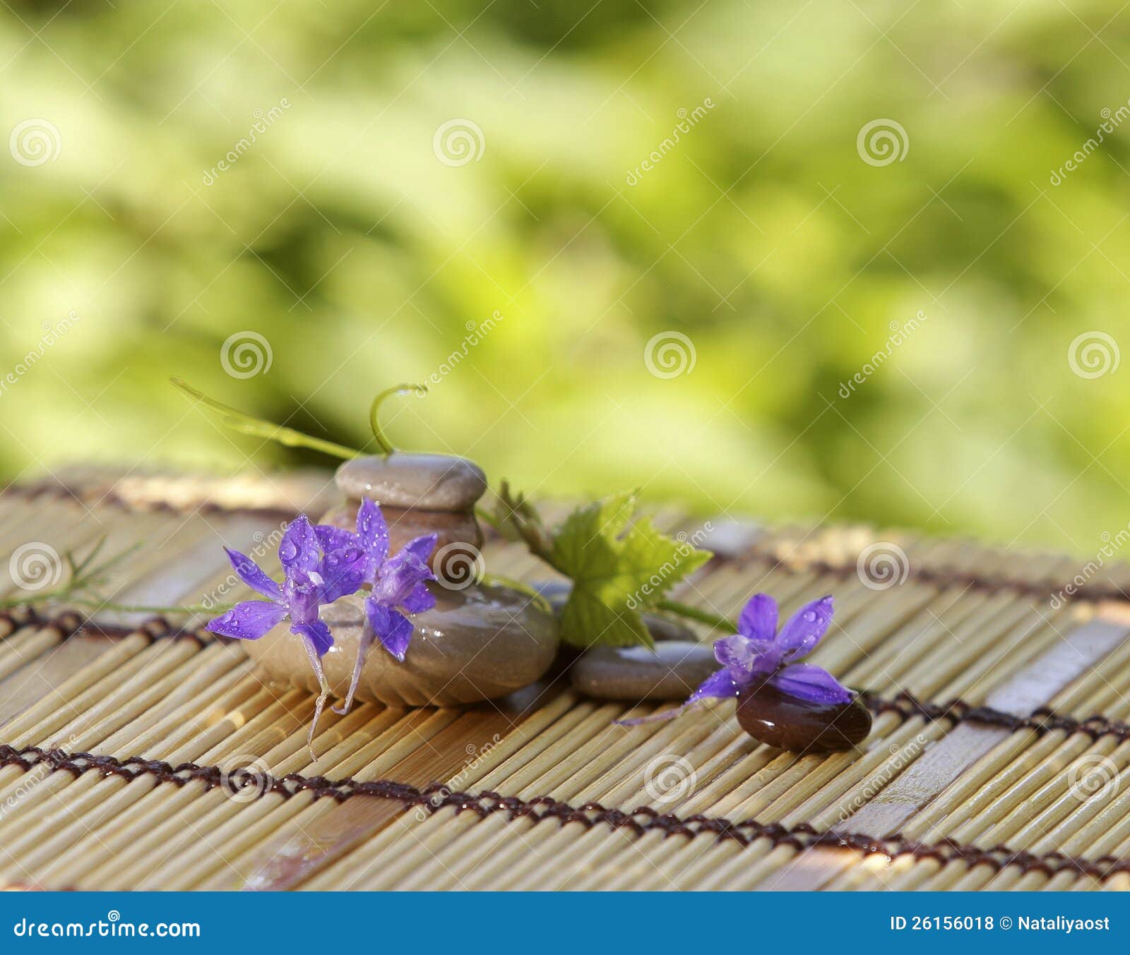 Stones for Spa and Dark Blue Flowers Stock Photo - Image of healthy ...