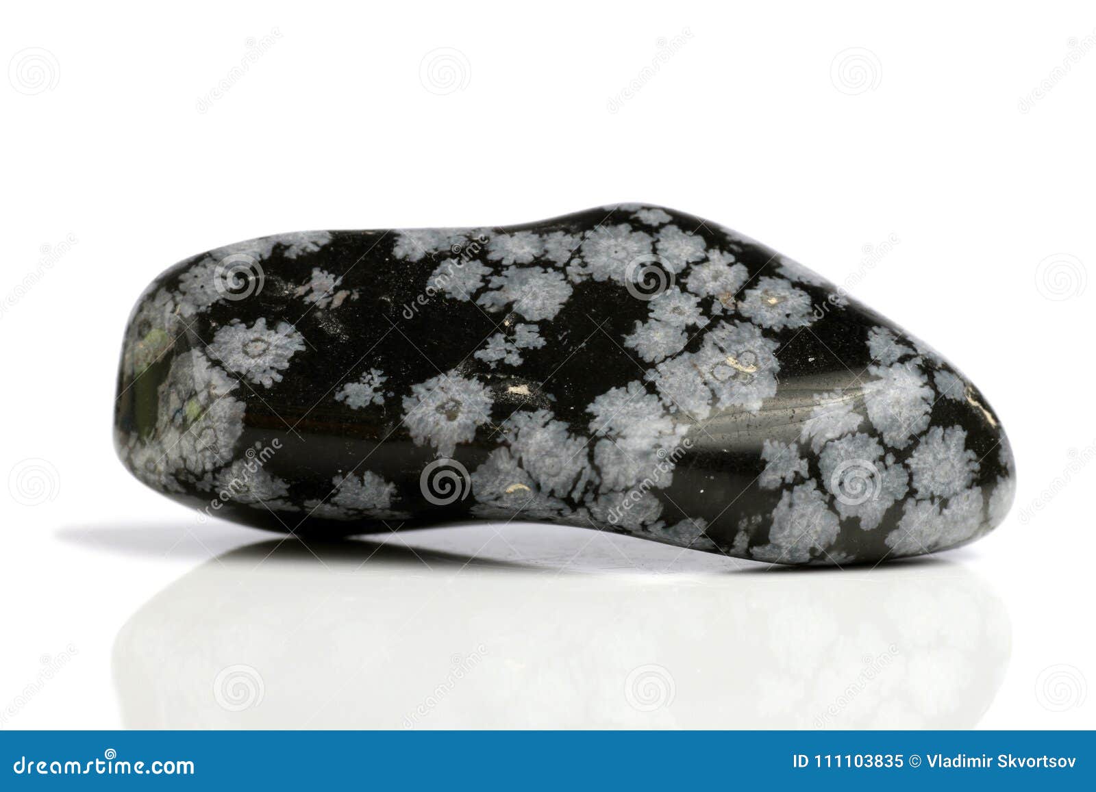 161 Stones Splinters Rocks Stock Photos - Free & Royalty-Free Stock ...