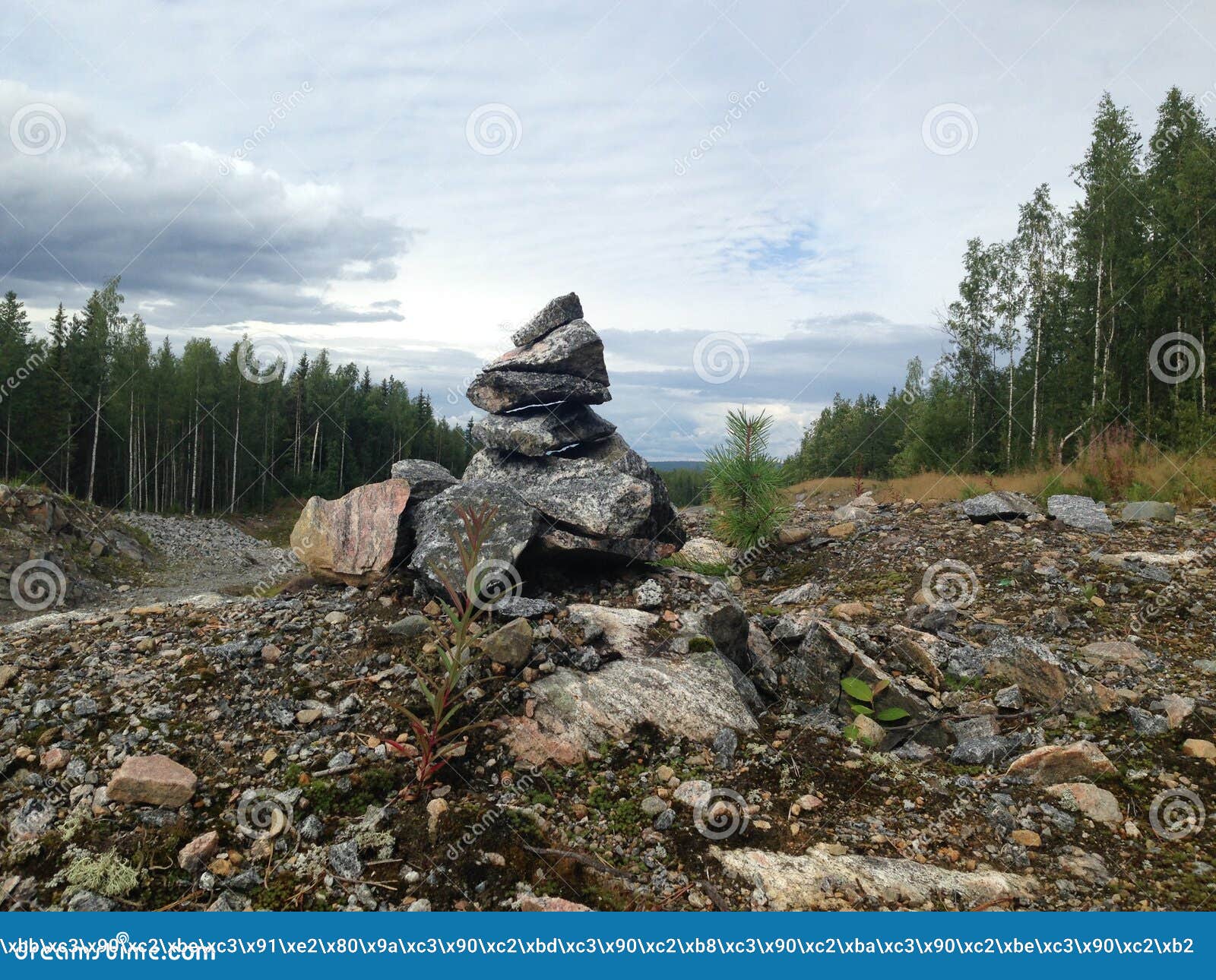 Stones Stacked on Each Other on the Background of the Forrest Stock ...