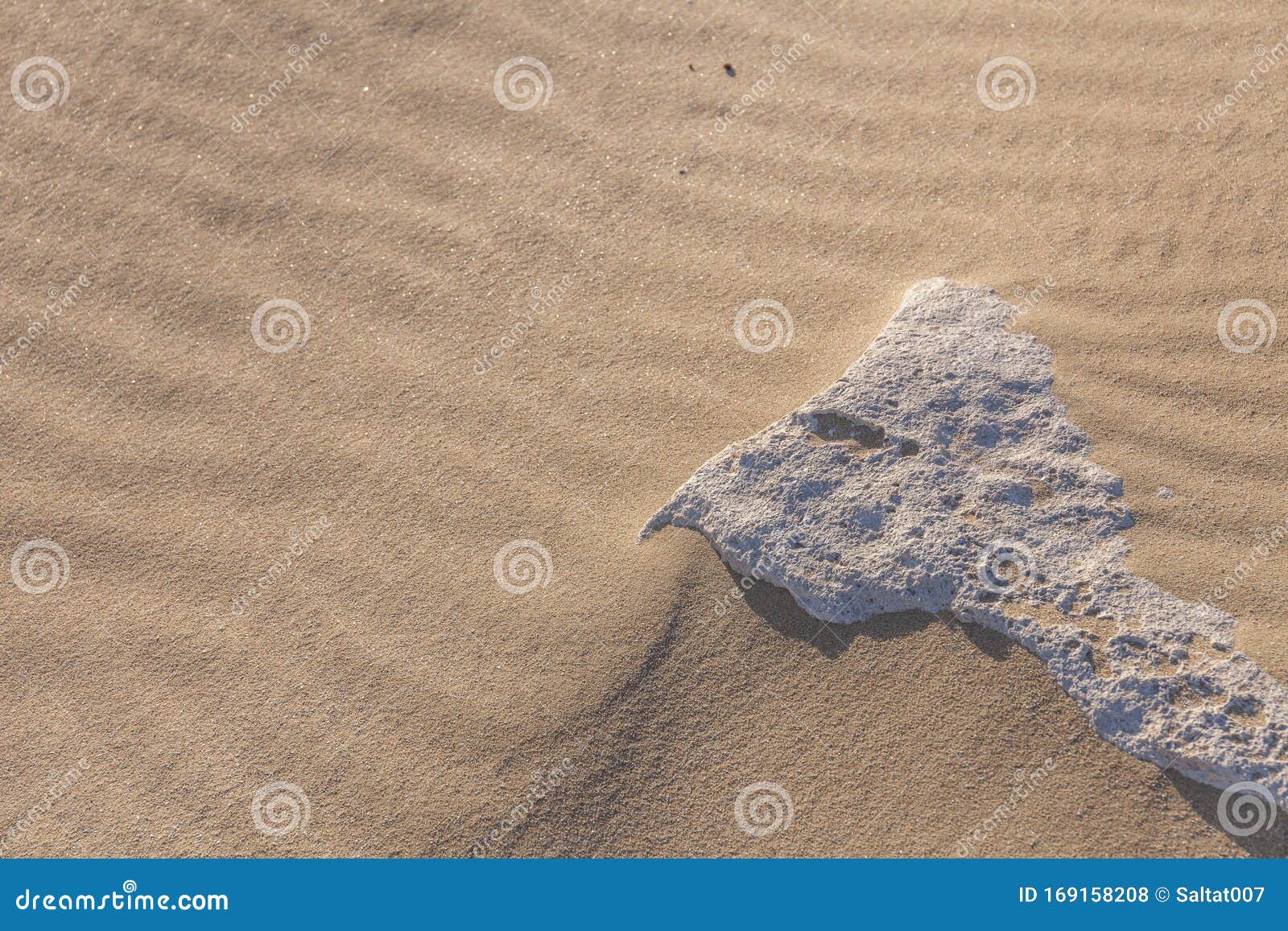 Stones Sticking Out of Sand. Sand Texture. Background from Fine Sand ...