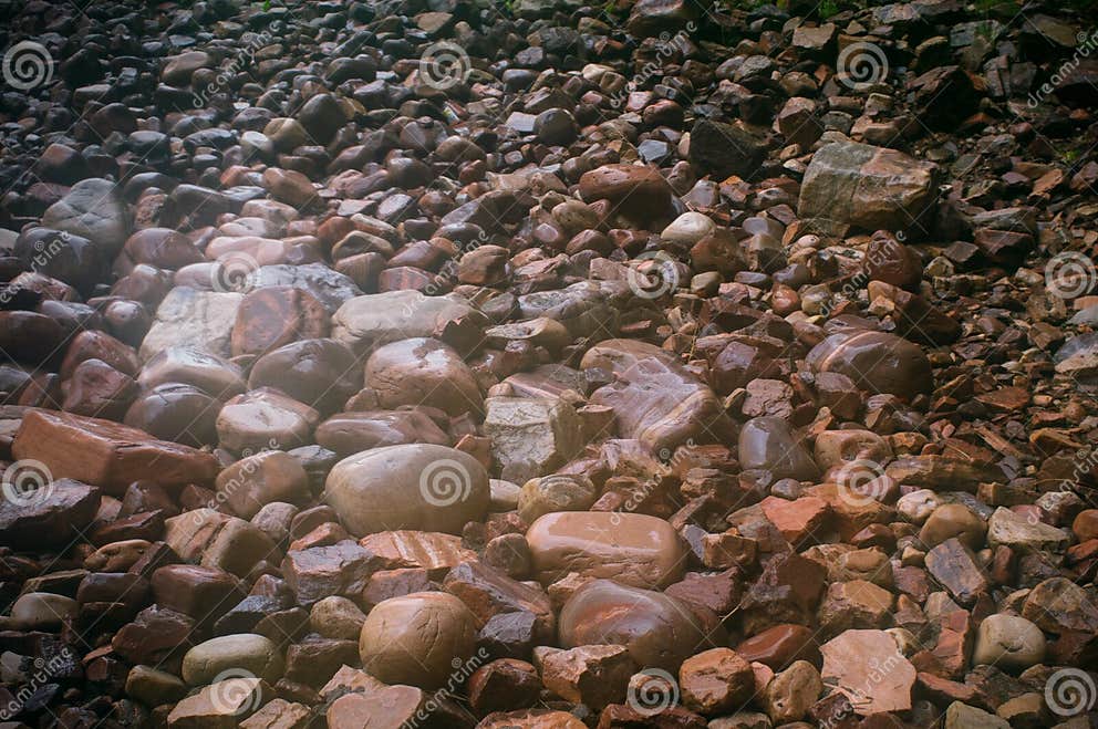 Stones stock photo. Image of long, sand, small, river - 53338708
