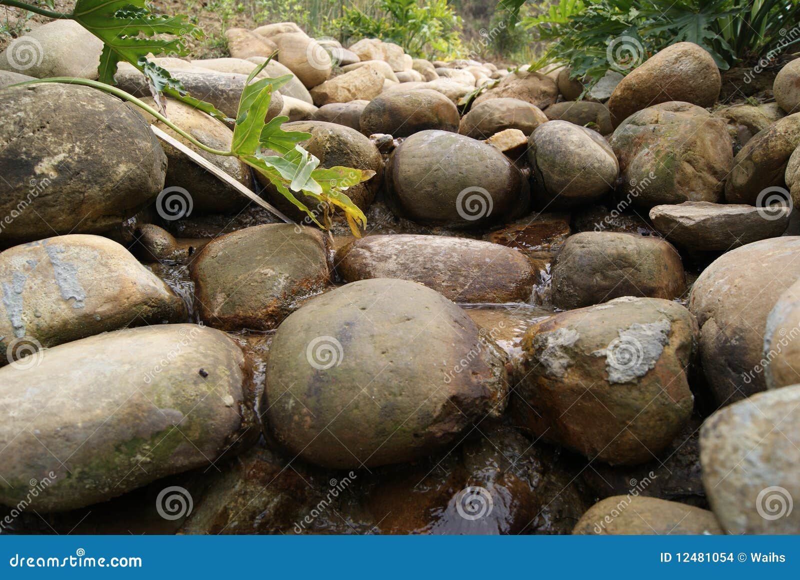 Stones and streams stock photo. Image of sports, landscape - 12481054
