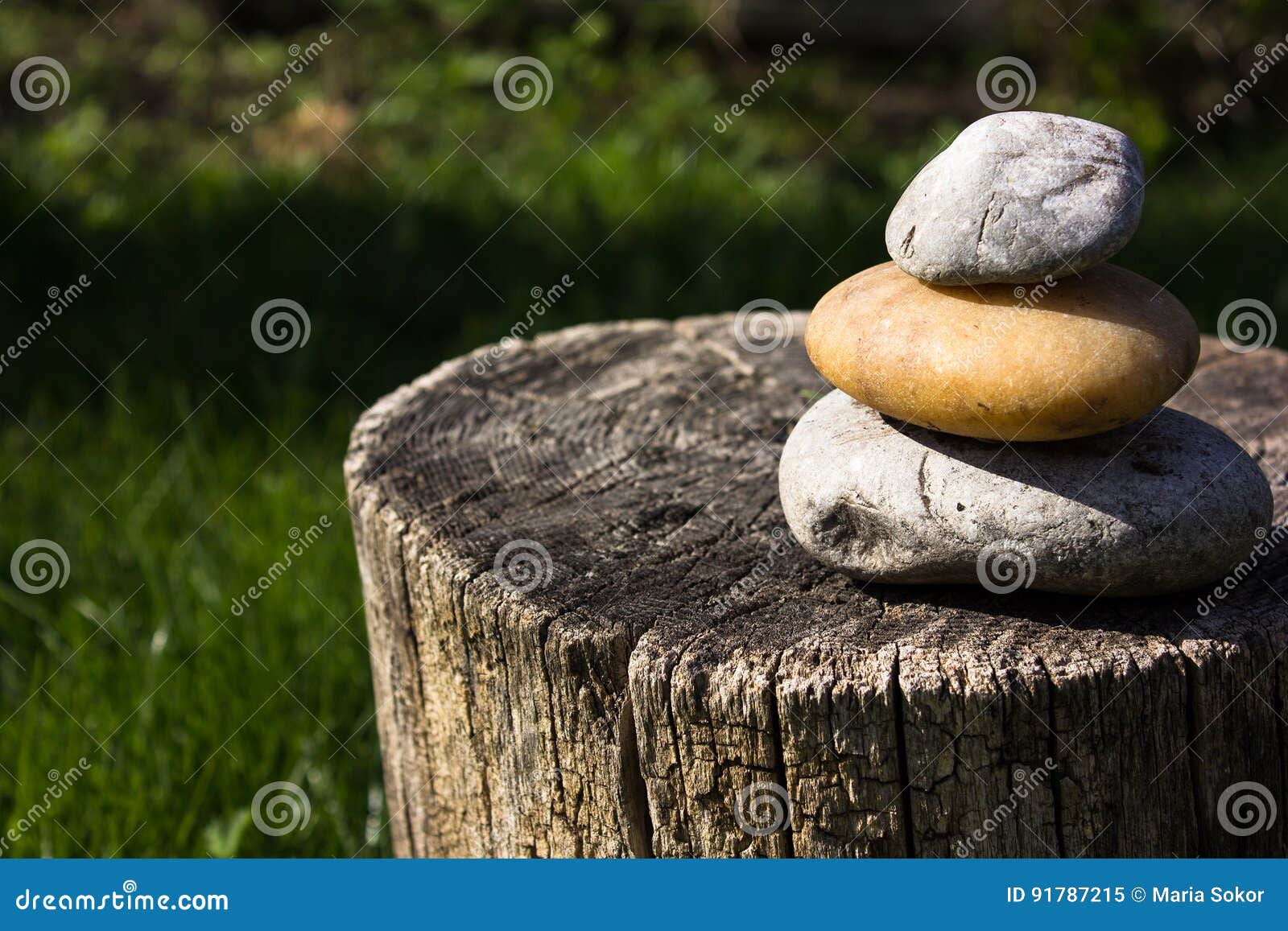 Stones on a Stump Tree. Green Background Stock Image - Image of ...