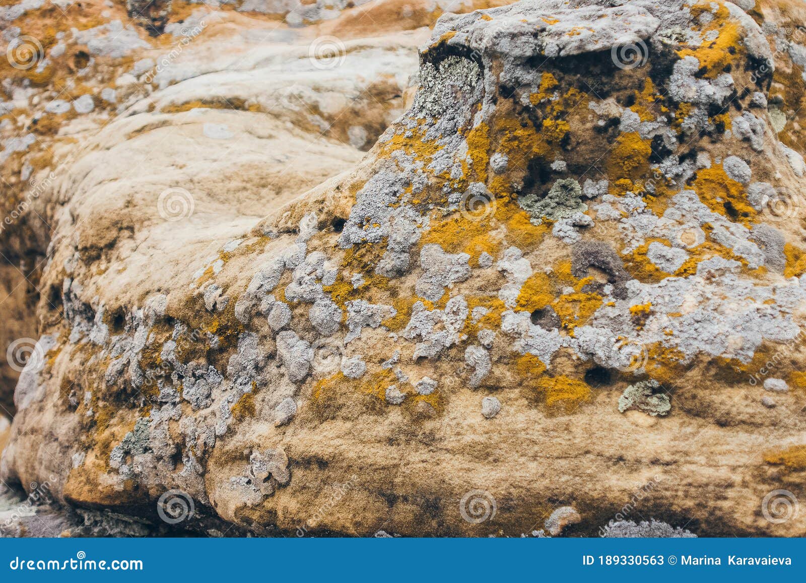 Stones Texture and Background. Rock Texture with Different Color Spots ...