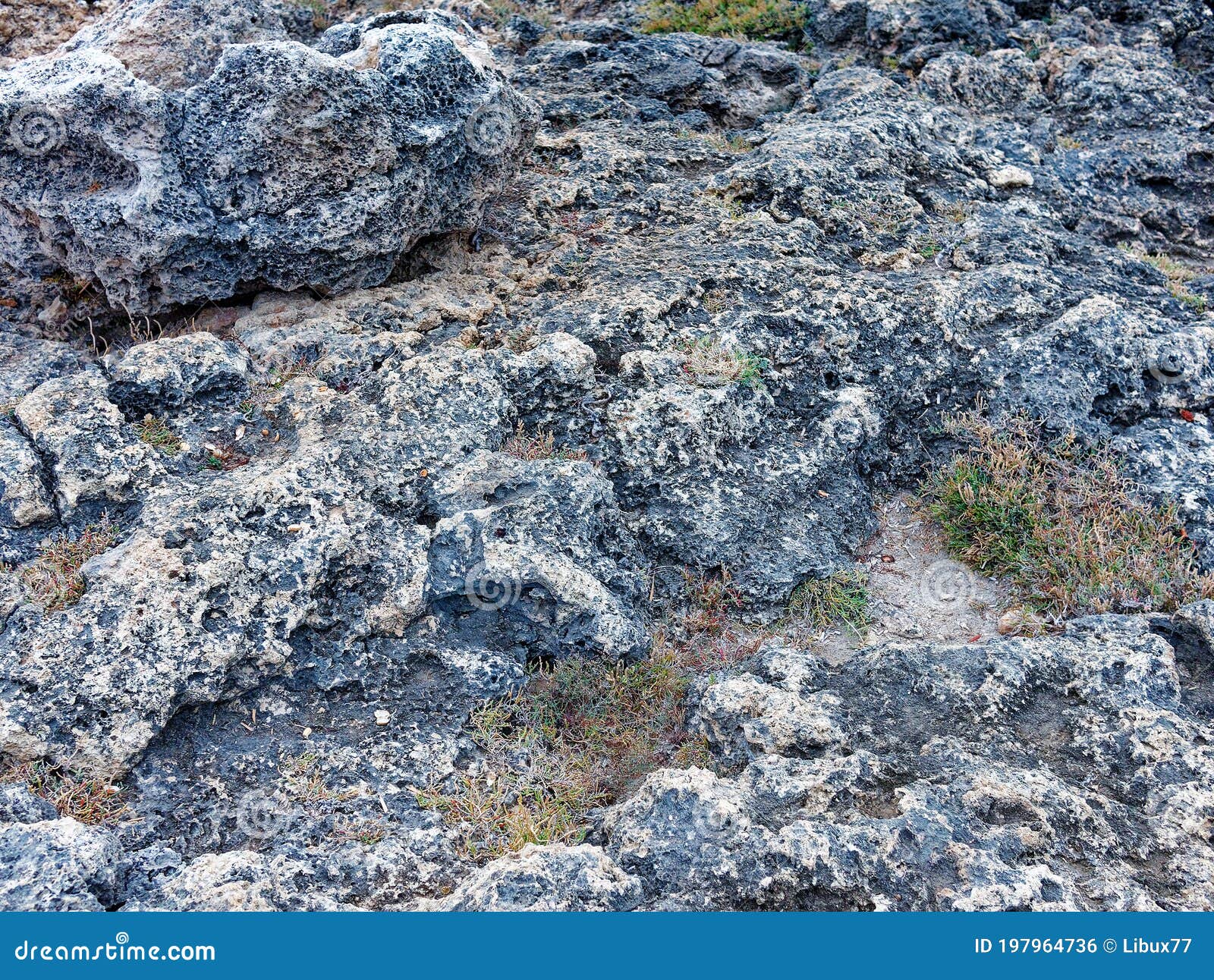 Stones Texture and Background. Rock Texture Stock Photo - Image of ...