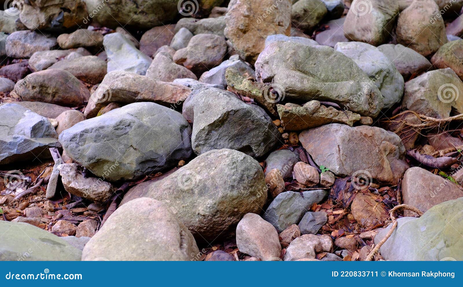 The Stones and Trees beside the Brook Stock Image - Image of outdoor ...