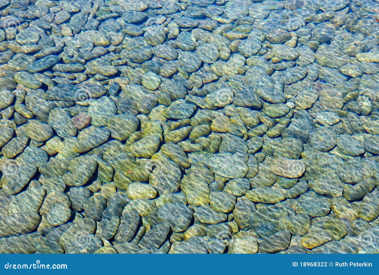 Stones under water stock photo. Image of natural, river - 18968322