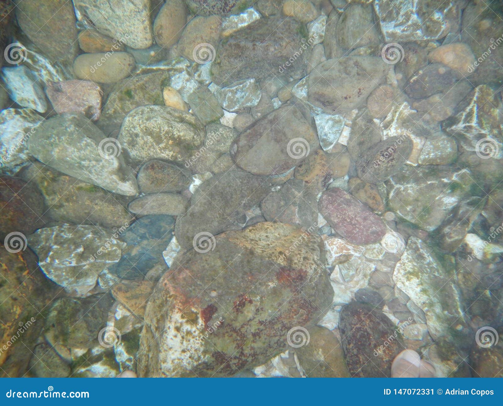 Stones Under Water on a River Stock Image - Image of stones, background ...