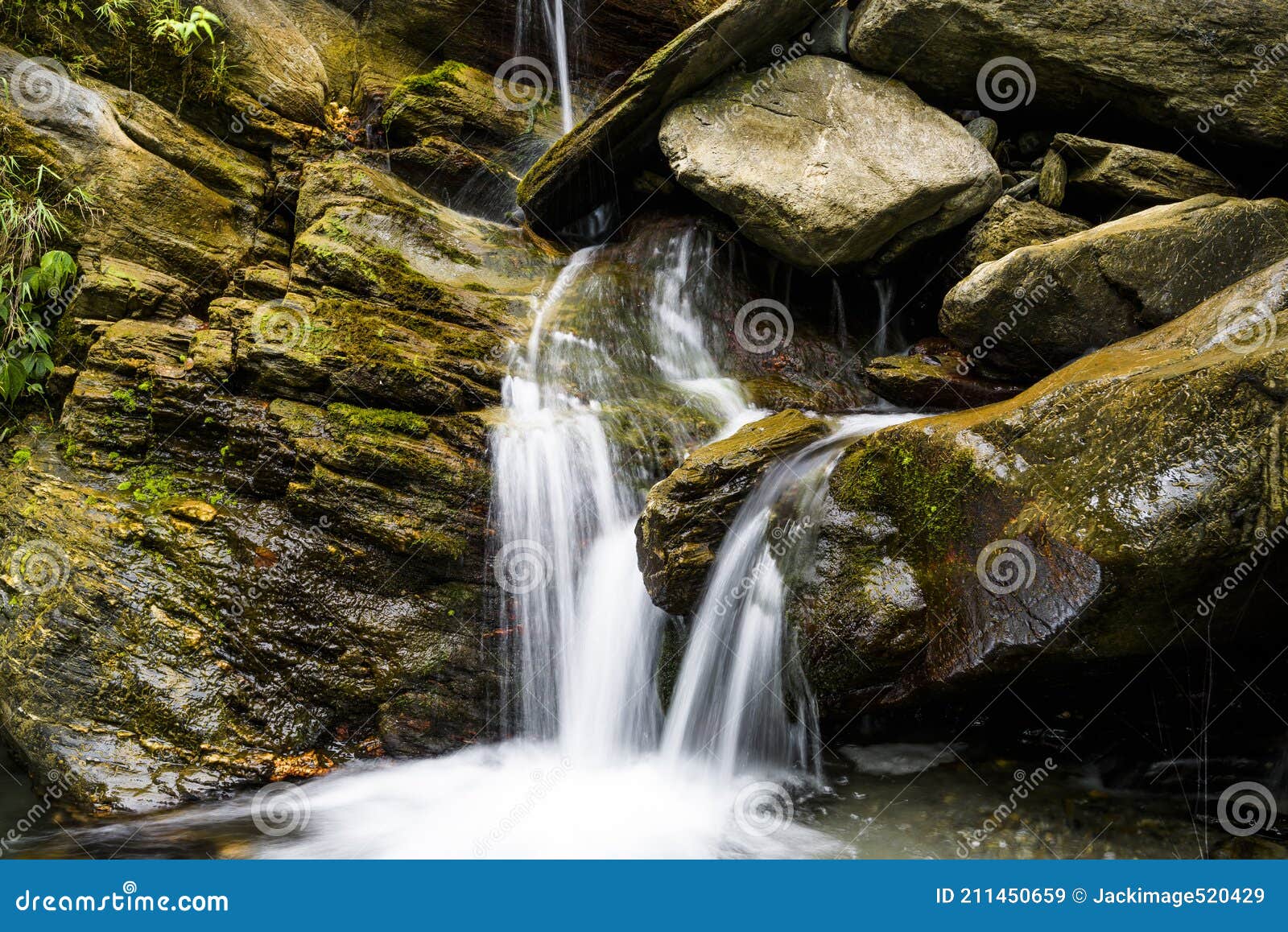 Close-up Waterfall, Natural Background Stock Image - Image of plant ...