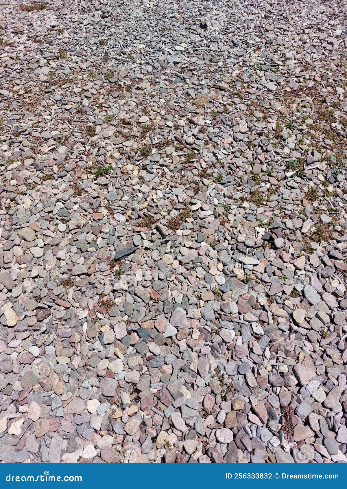 Stones Walk Floor Nature Rocks Stock Photo - Image of stones, rocks ...