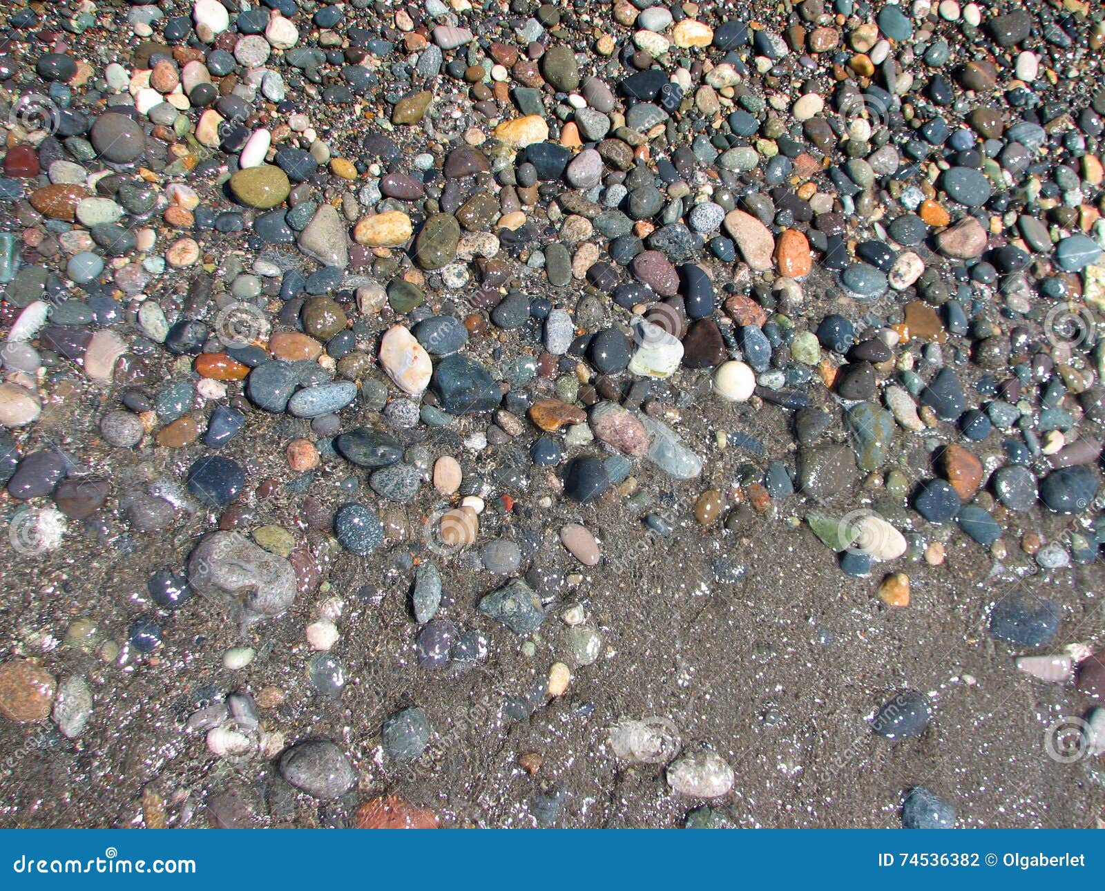 Stones Washed Ashore on the Beach. Stock Photo - Image of arrangement ...