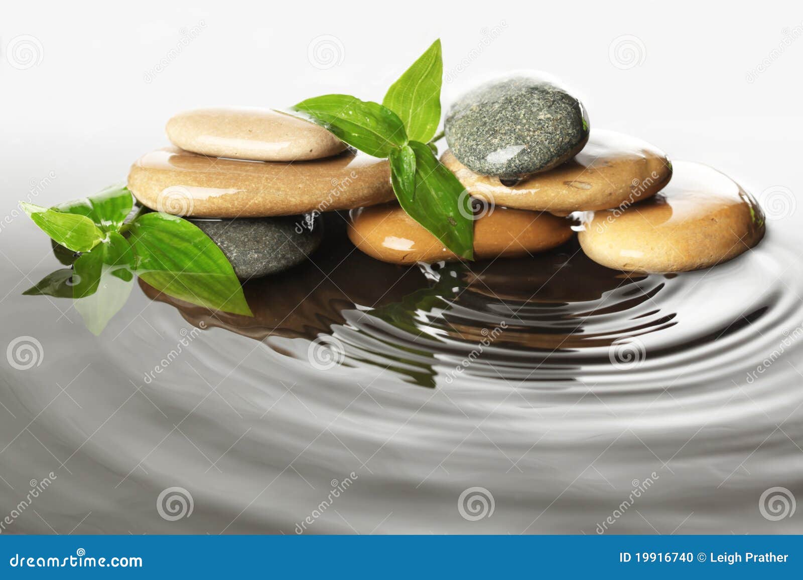 Stones in water stock photo. Image of harmony, heap, beauty - 19916740