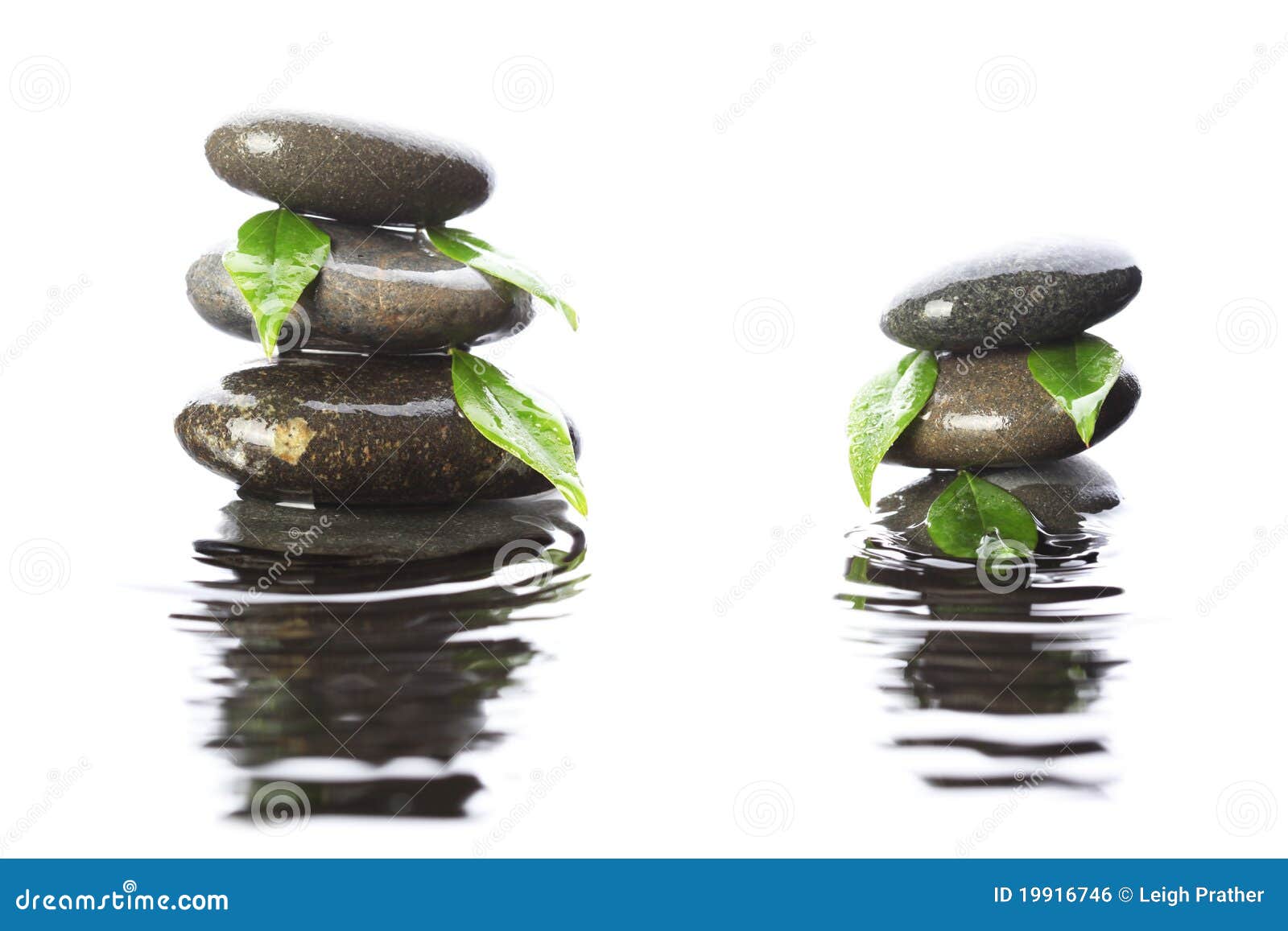 Stones in water stock photo. Image of black, garden, beautiful - 19916746