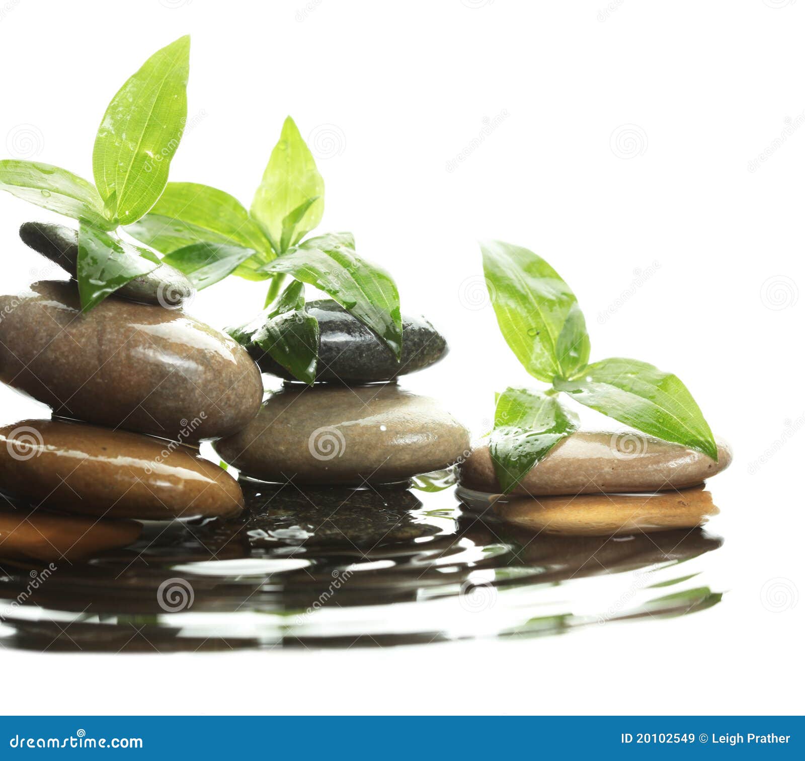 Stones in water stock image. Image of healthy, reflection - 20102549