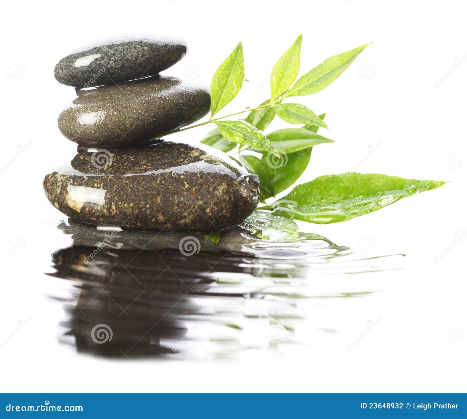 Stones in water stock photo. Image of reflection, pebble - 23648932