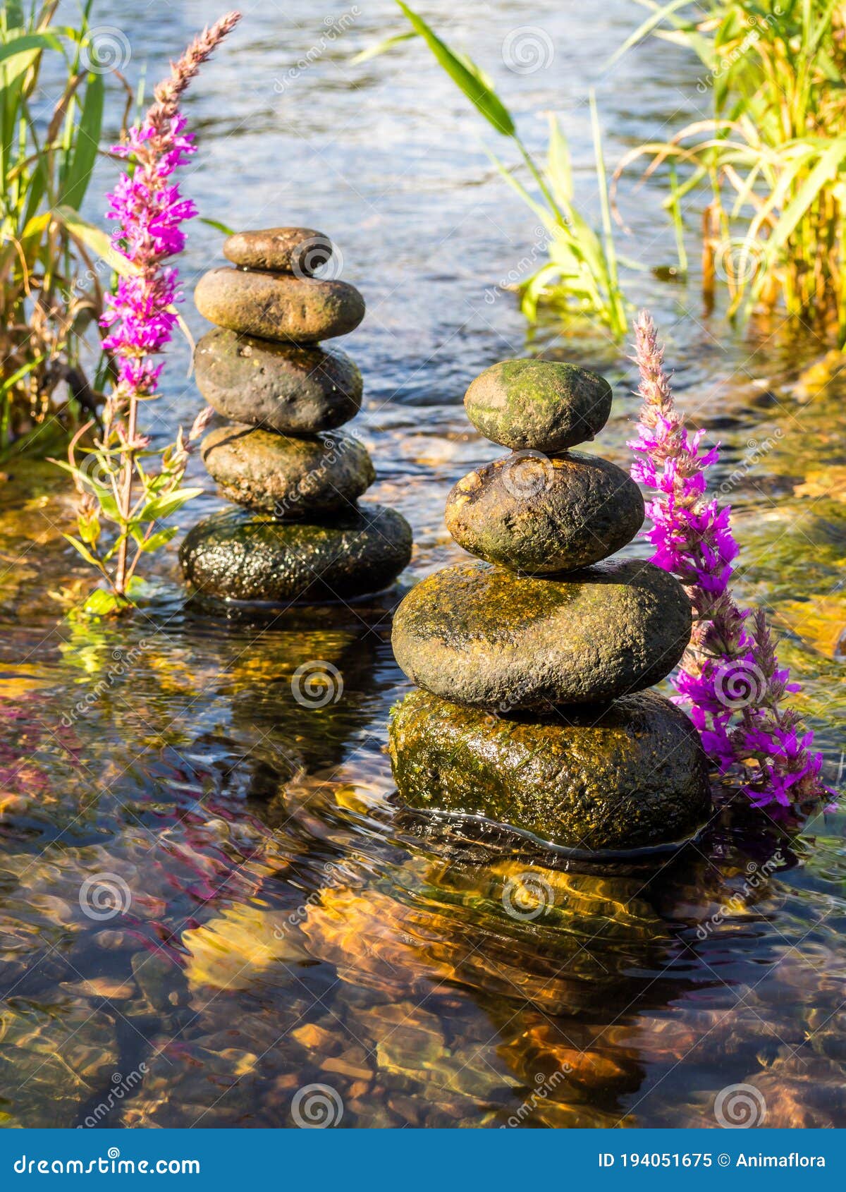 Stones in Water Background Image Stock Image - Image of ergo, design ...
