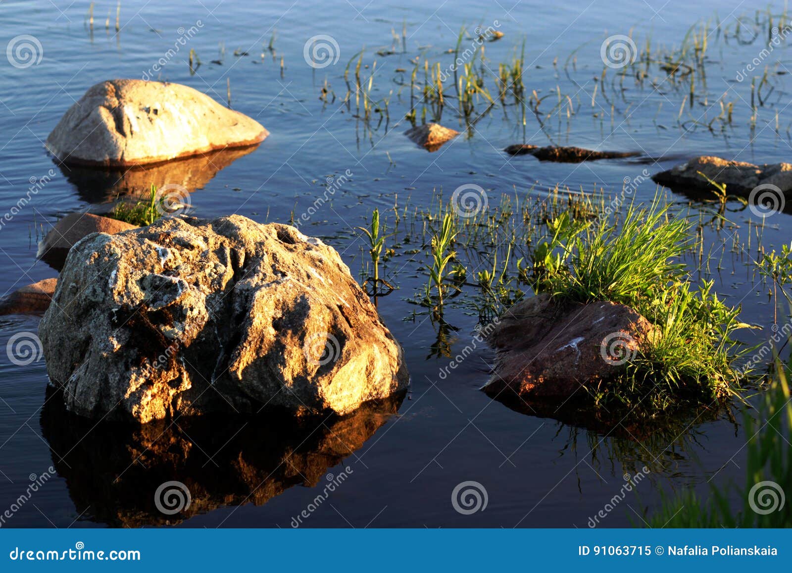 Stones in the water stock image. Image of blue, stone - 91063715