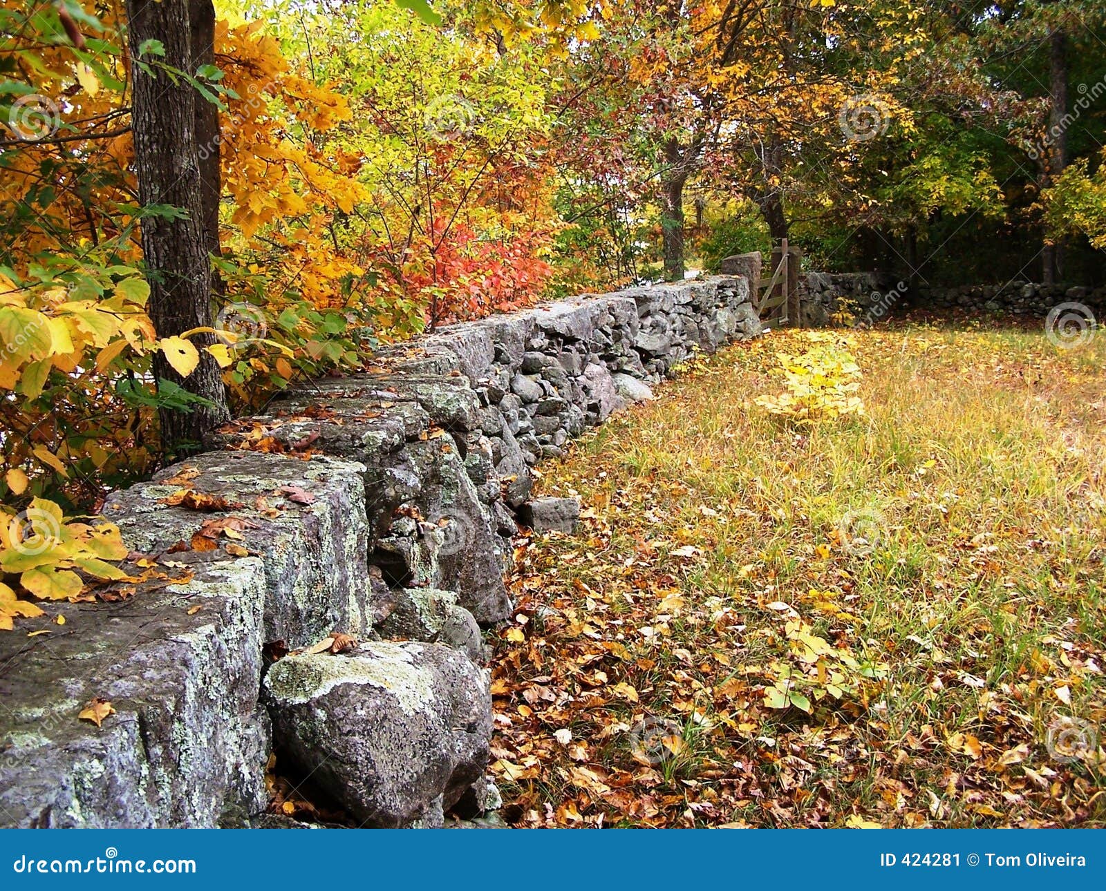 Stonewall in fall. stock image. Image of rock, green, trees - 424281
