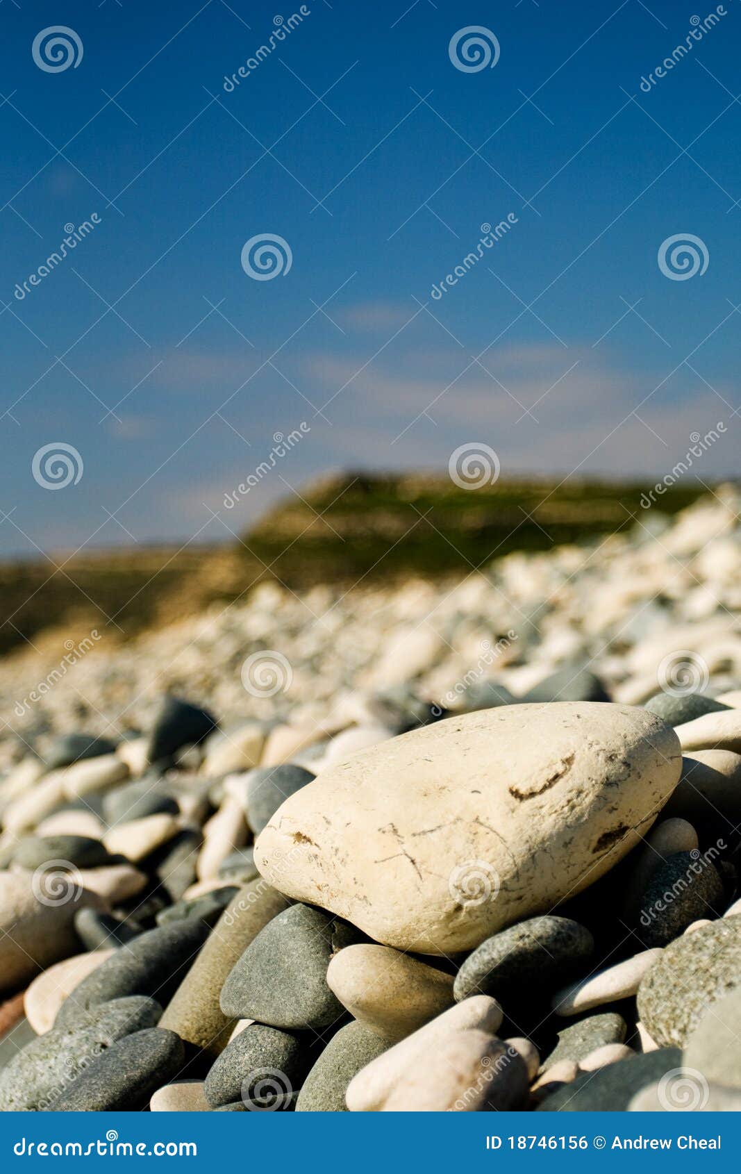 Stoney Beach stock photo. Image of rough, pebble, sunny - 18746156