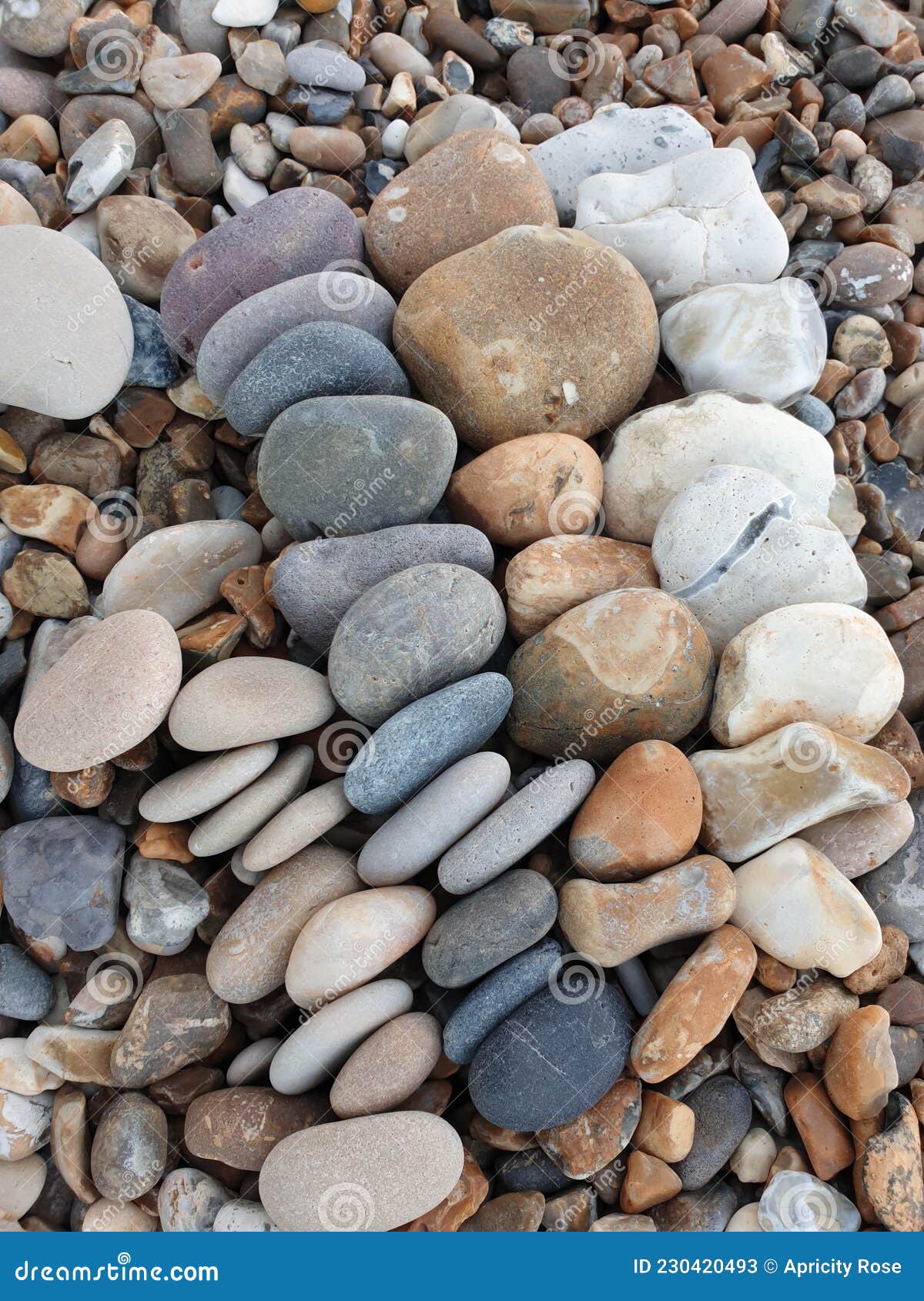 Stoney beach art stock image. Image of produce, colour - 230420493