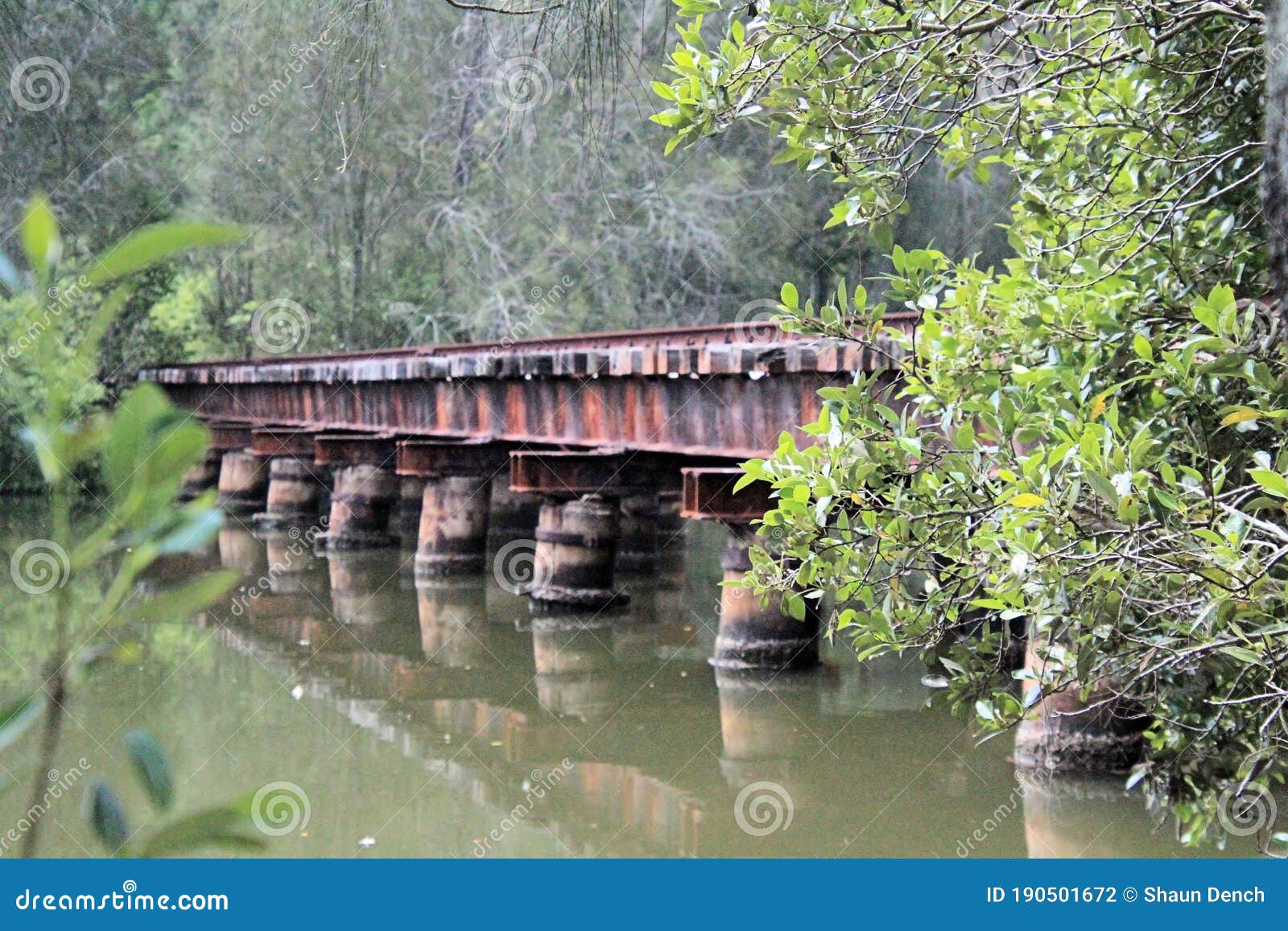 Stoney Creek Disused Railway Bridge Stock Photo - Image of railway ... Stoney Creek Disused Railway Bridge Stock Photo - Image of railway ...
