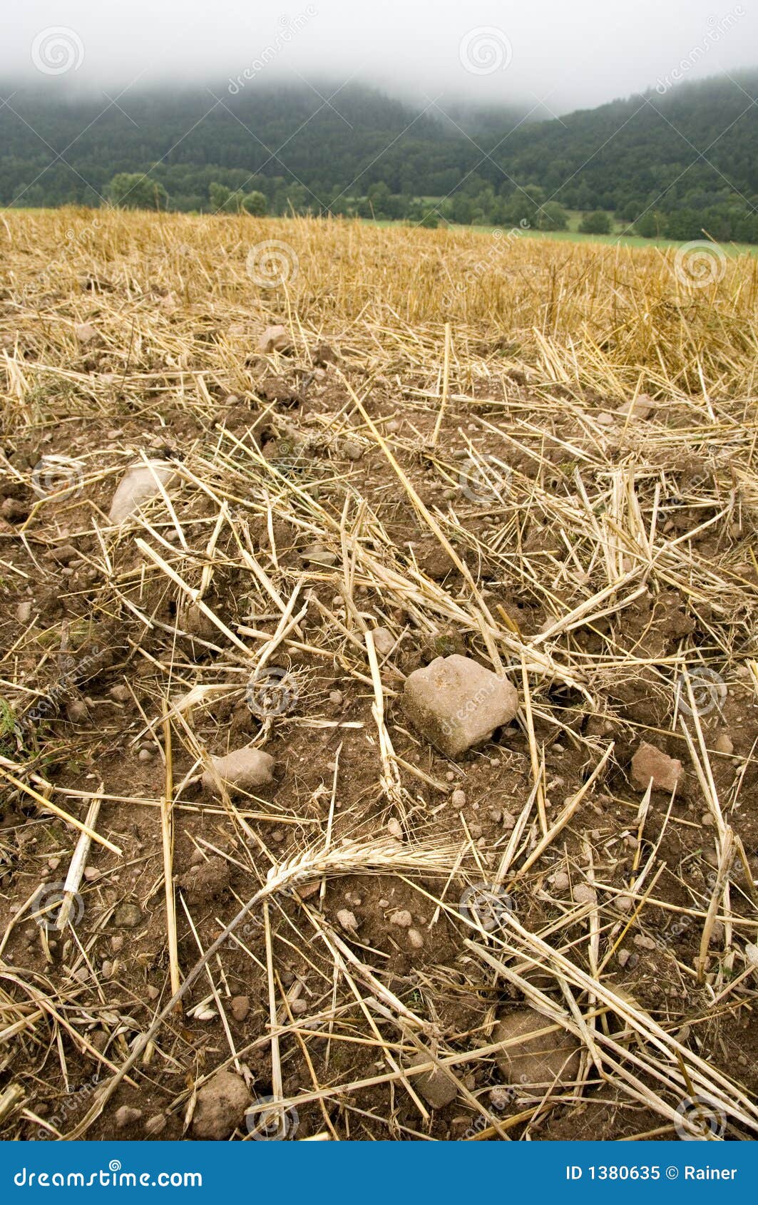 Stony stock image. Image of bare, field, empty, barren - 1380635