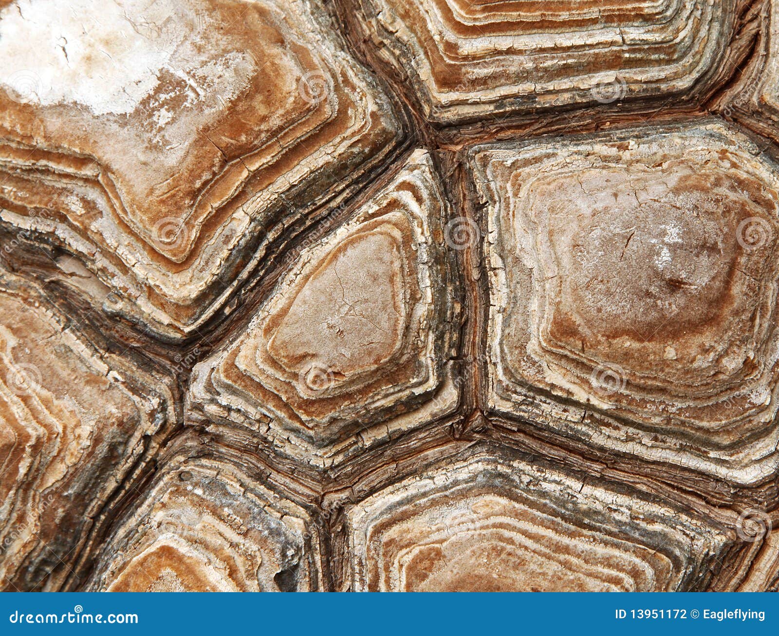 Stony background stock photo. Image of stony, texture - 13951172