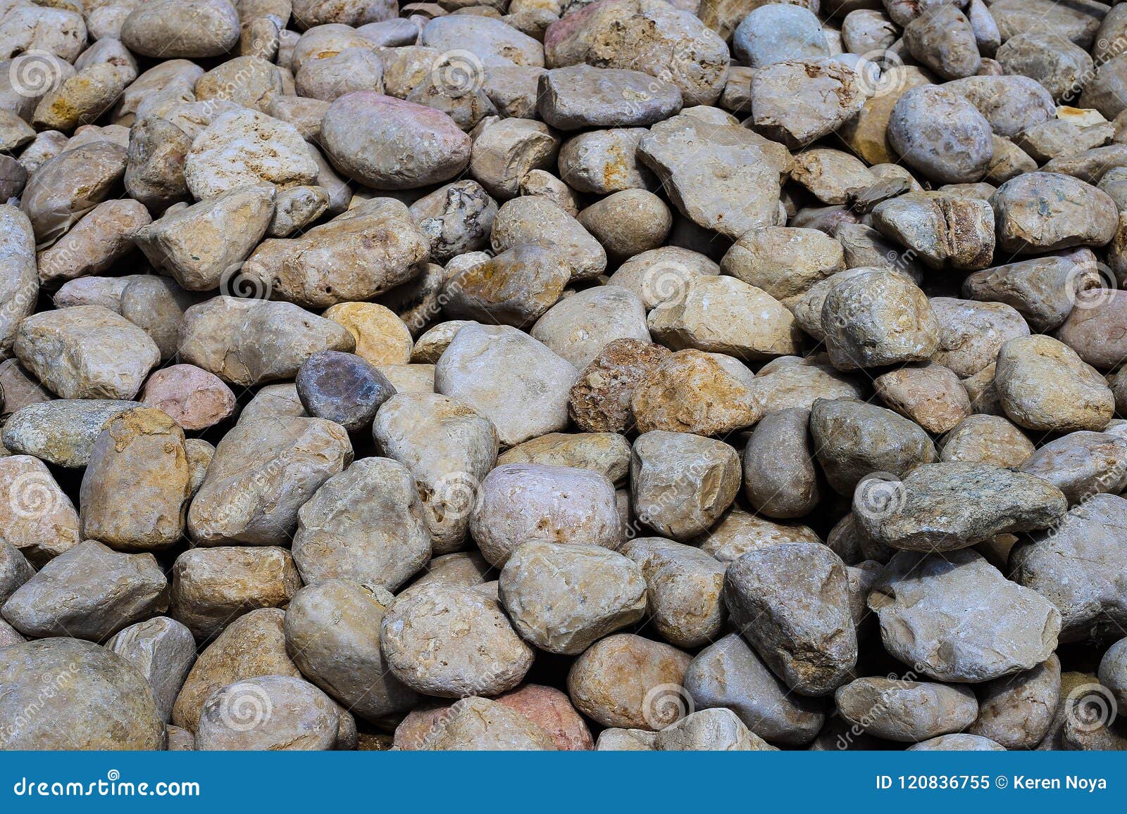 Stony Background of Small Rocks on the Beach Stock Image - Image of ...
