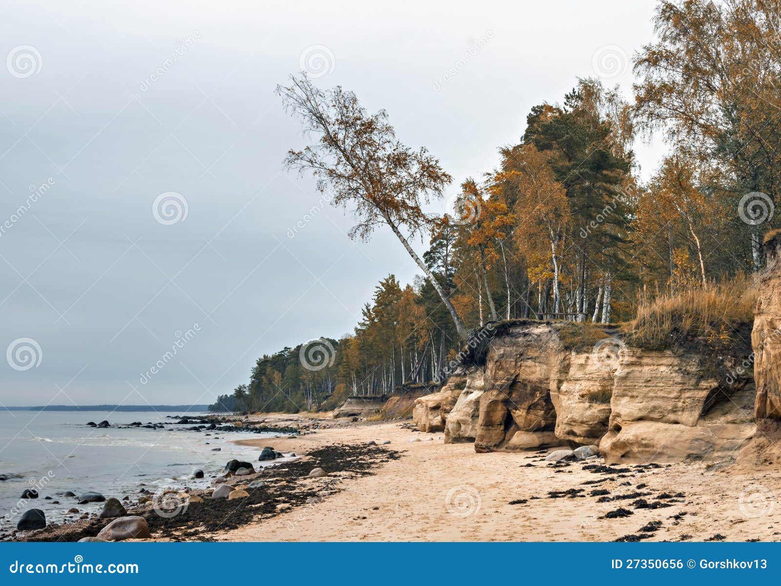 Stony Beach at the Gulf of Riga Stock Photo - Image of wave, forest ...