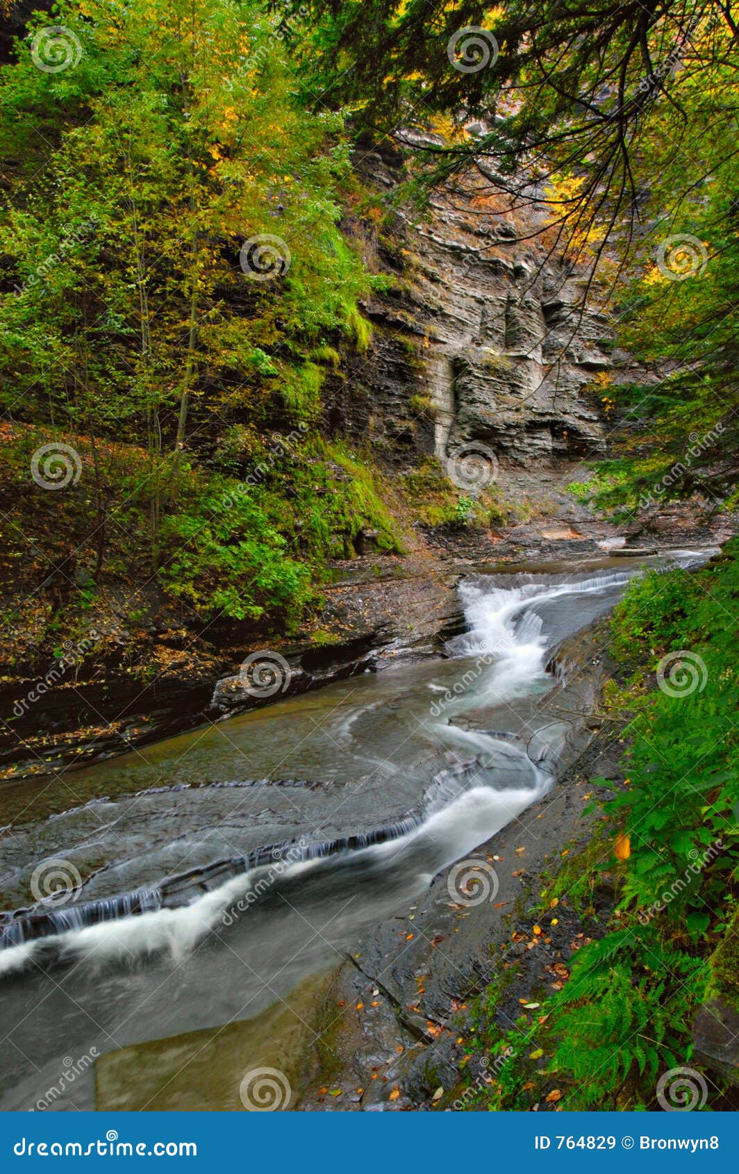 Stony Brook Creek stock image. Image of flowing, green - 764829