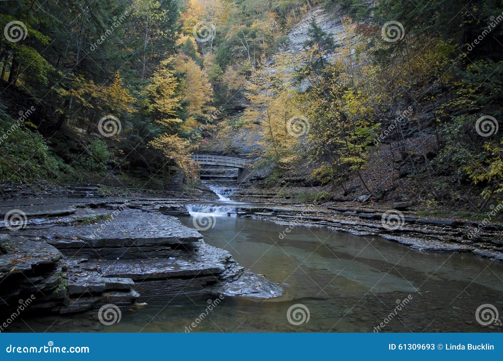 Stony Brook Gorge in Autumn Stock Image - Image of autumn, gorge: 61309693
