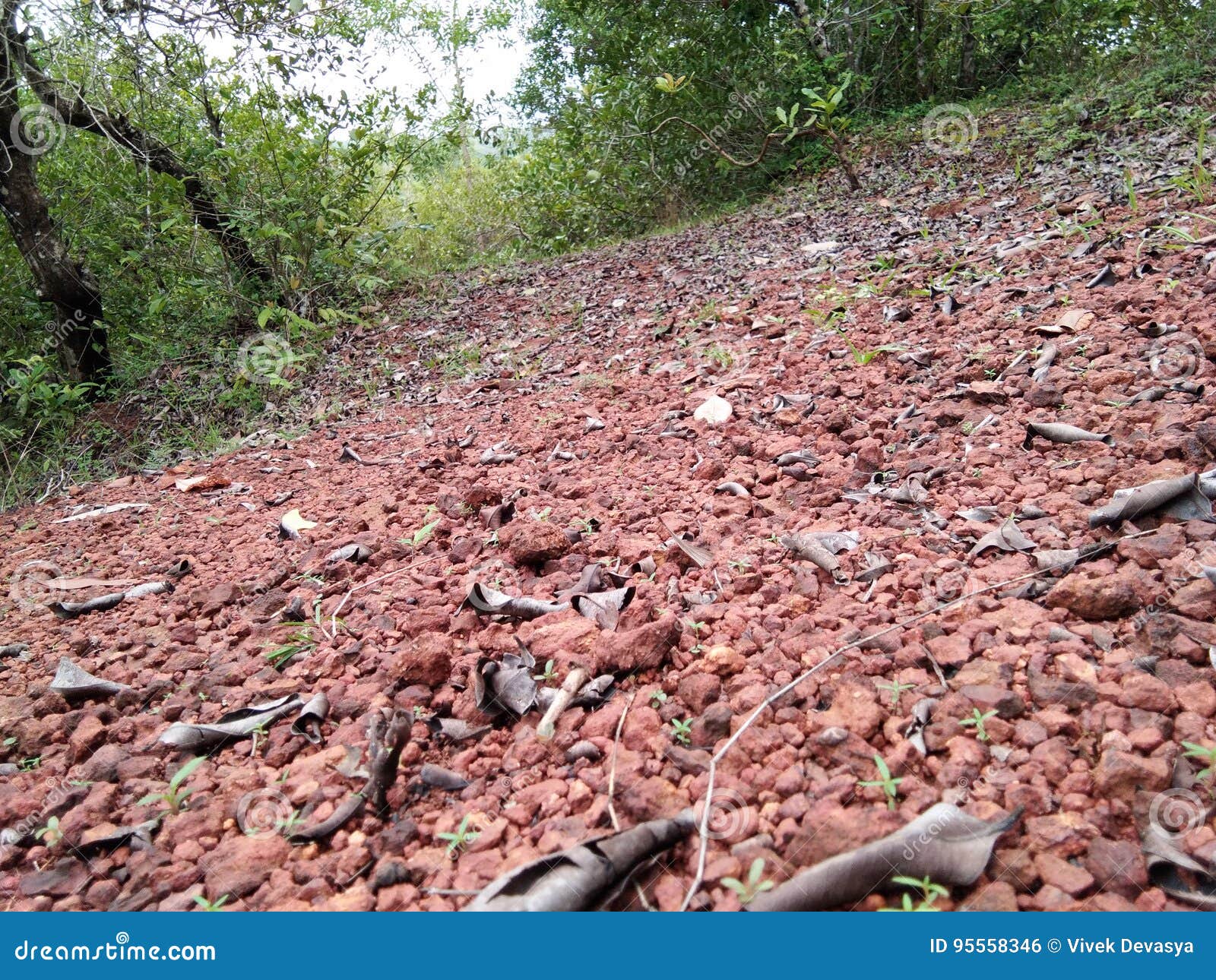 Stony clay land stock photo. Image of land, clay, indian - 95558346