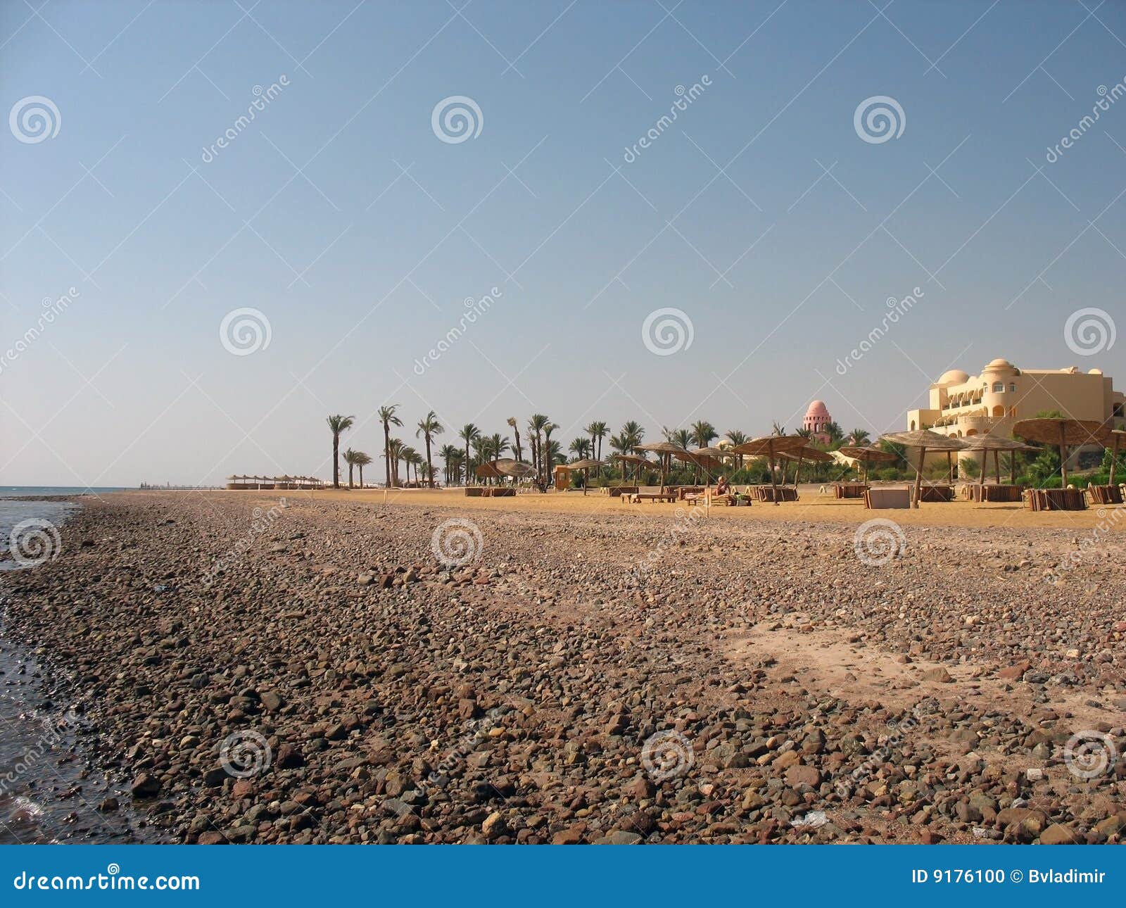 Stony coast of Red sea stock photo. Image of taba, trees - 9176100