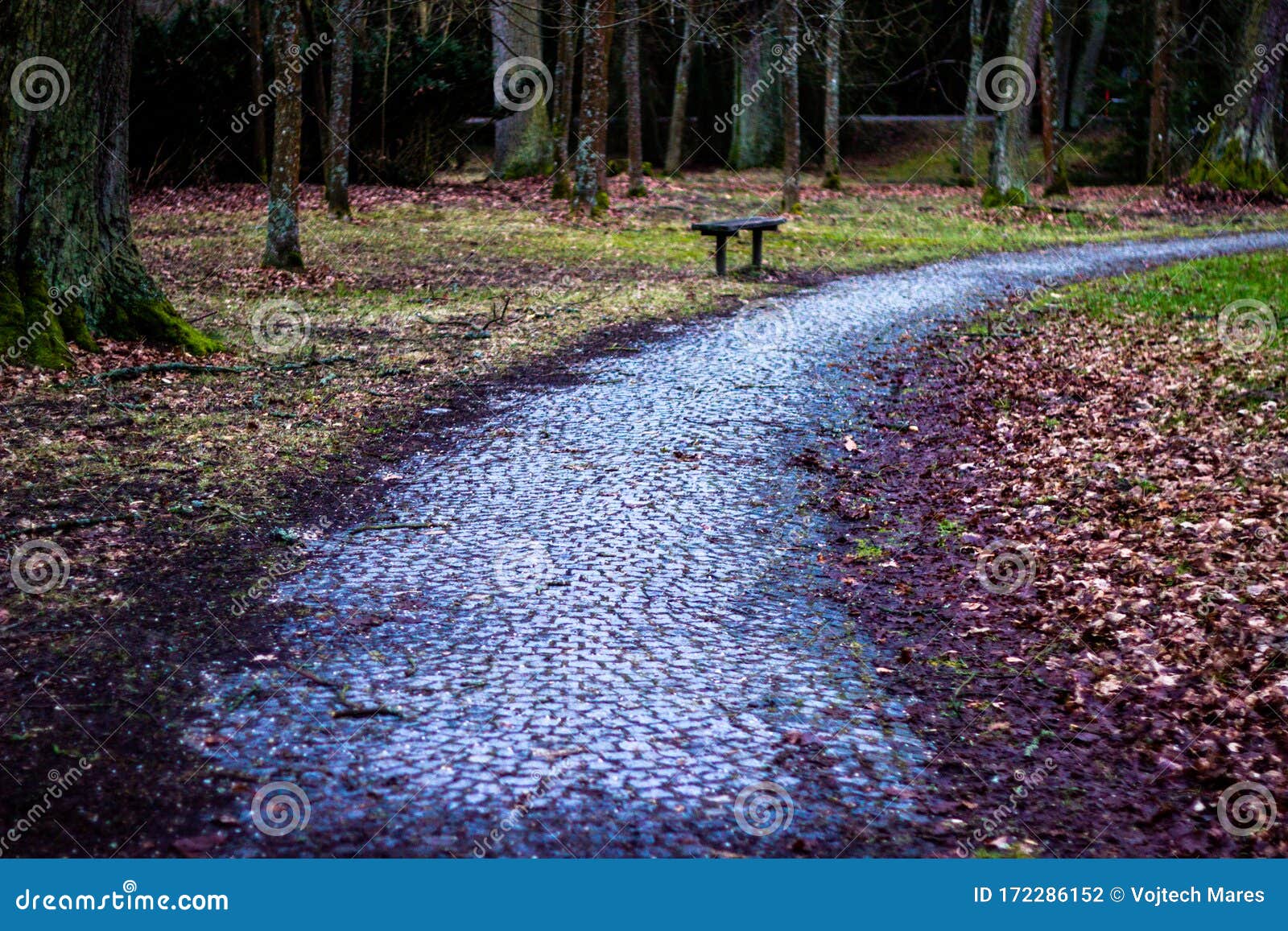 A Stony Path in a Park into a Bend with a Bench in the Background Stock ...
