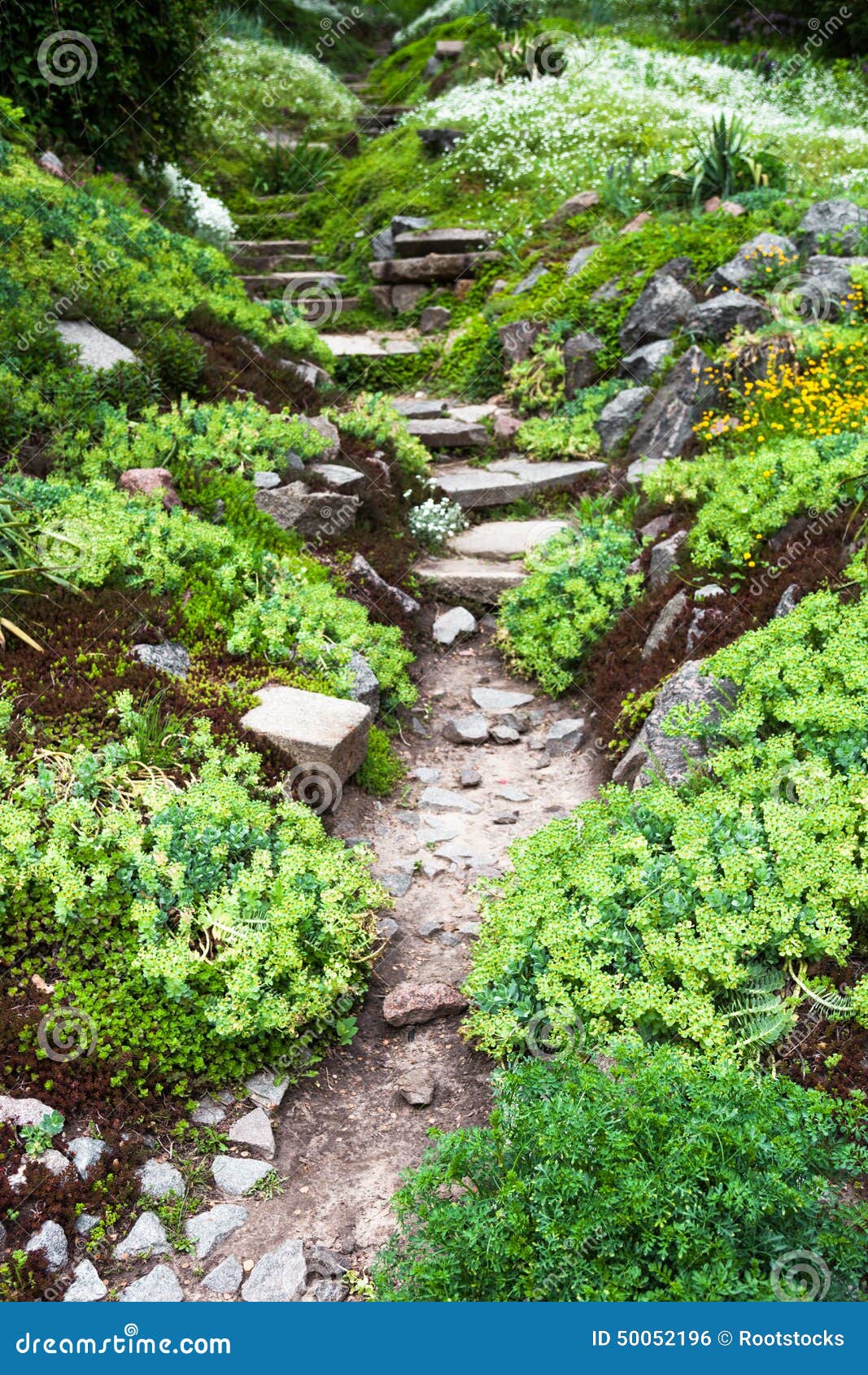 Stony Path and Stairs in the Green Garden Stock Photo - Image of park ...