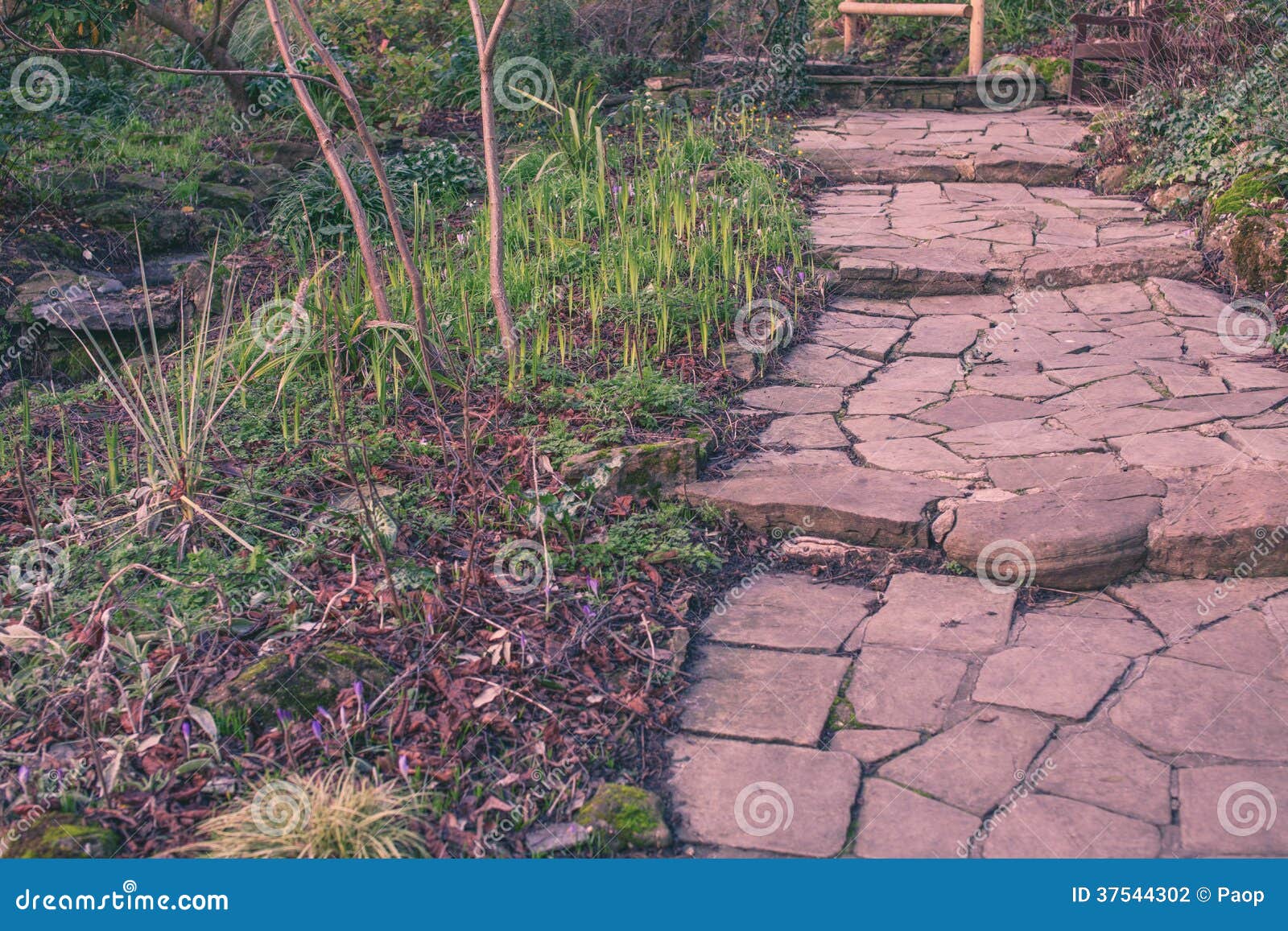 Stony pathway stock photo. Image of bright, open, lifestyle - 37544302
