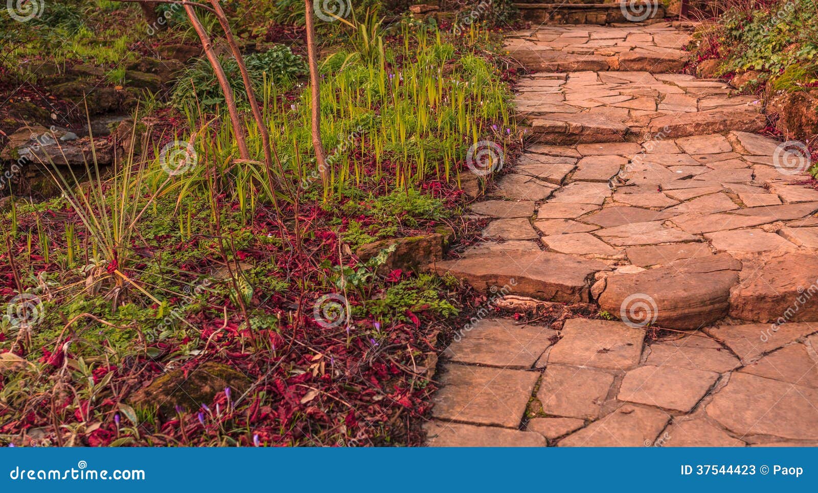 Stony pathway stock image. Image of fall, leaves, garden - 37544423