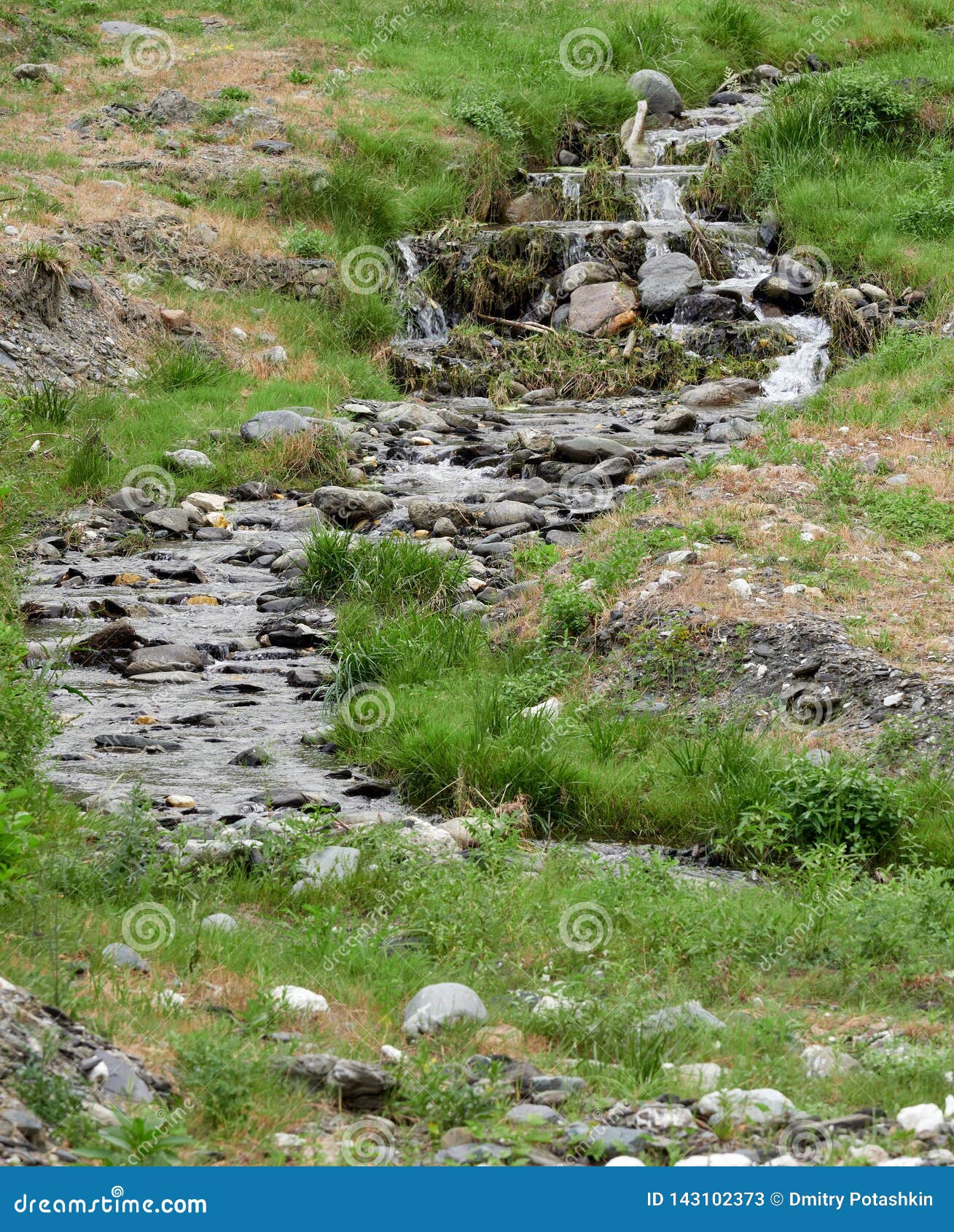 A Stony Stream Flows through a Green Meadow with Low Grass Stock Image ...