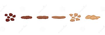 Stool Faeces Type Classification, Structure Excrement. Types ...